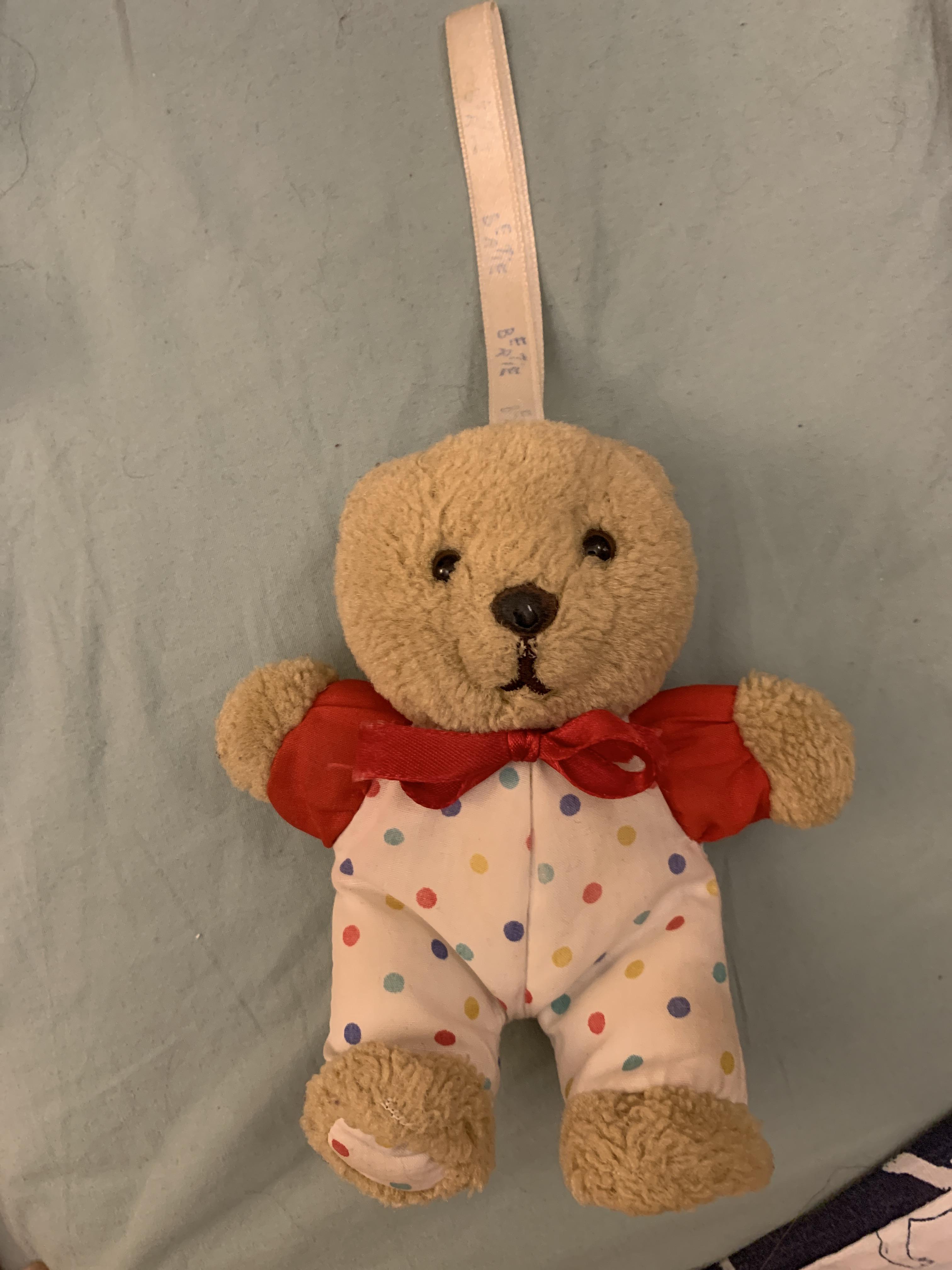 Need help identifying this bear | Scrolller