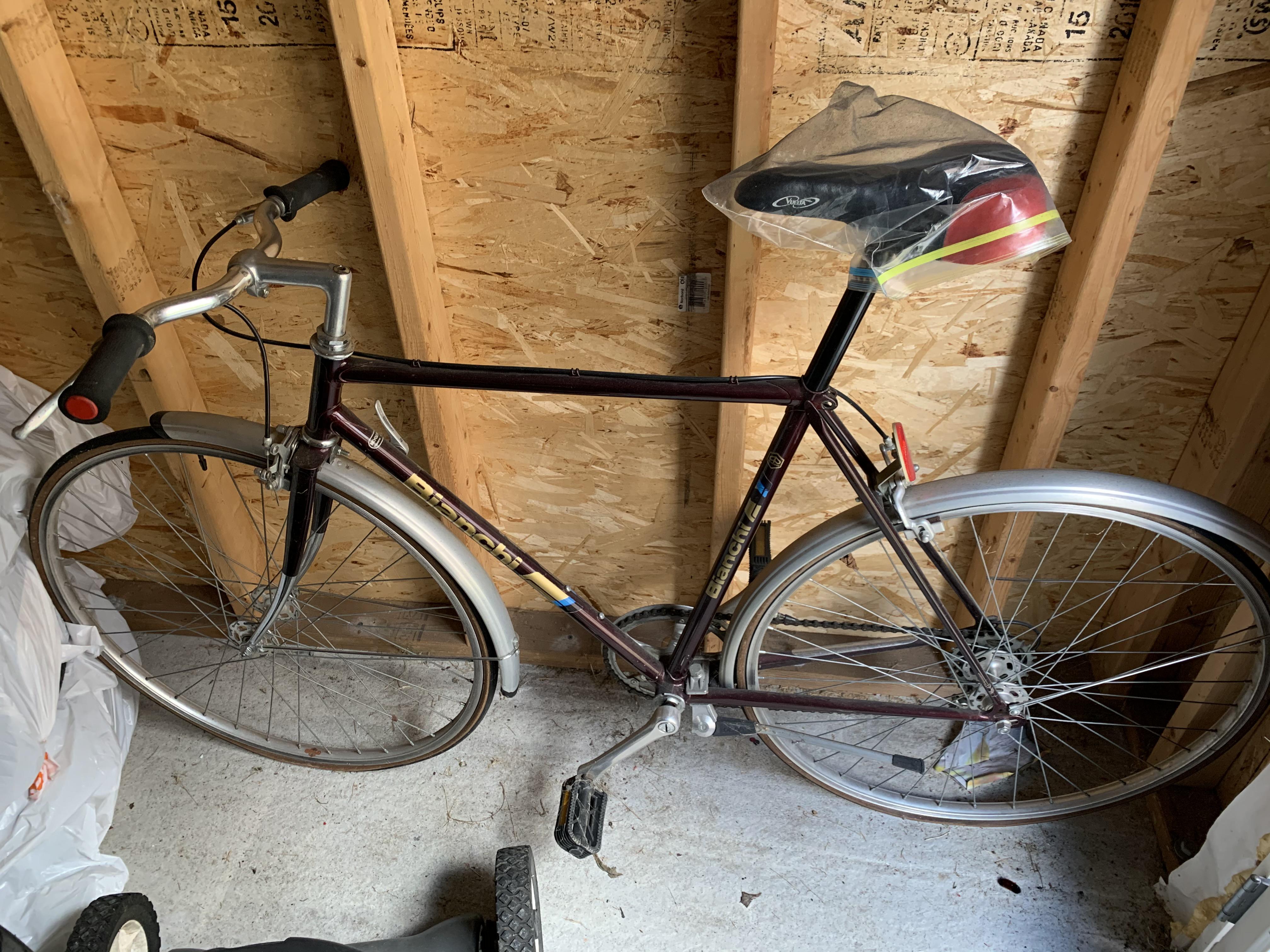 Need help Identifying this Bianchi bicycles I bought at a yard sale 10+ years ago! Ignore the ...