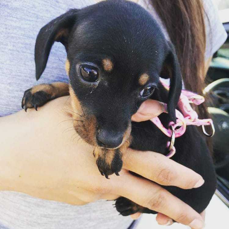 Need help naming her!! | Scrolller