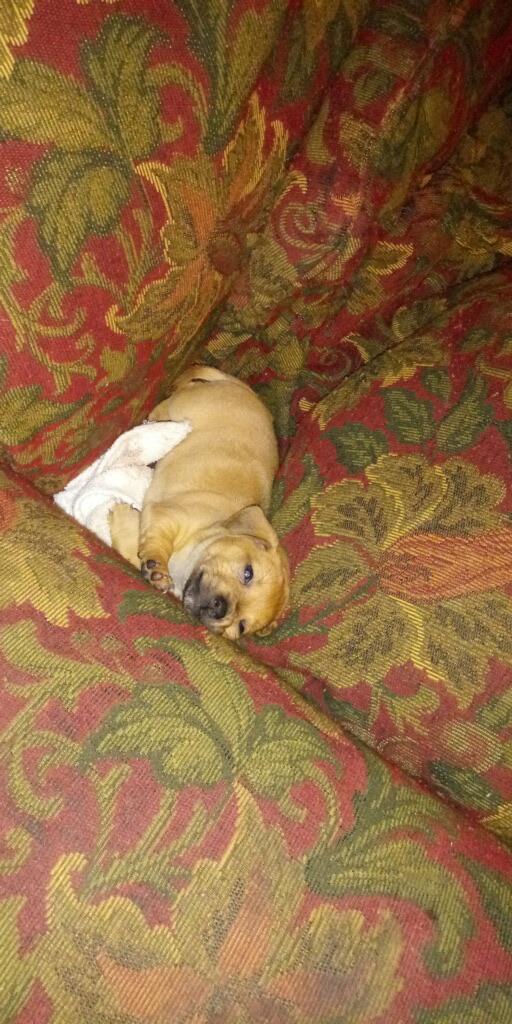 ‼️Needing names for our little girl! ‼️ please help! She’s sleepy and playful | Scrolller