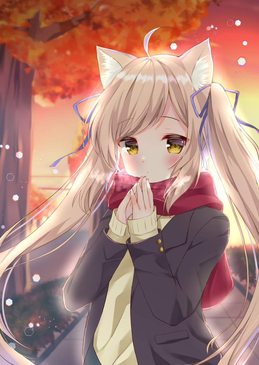 neko [Original] | Scrolller