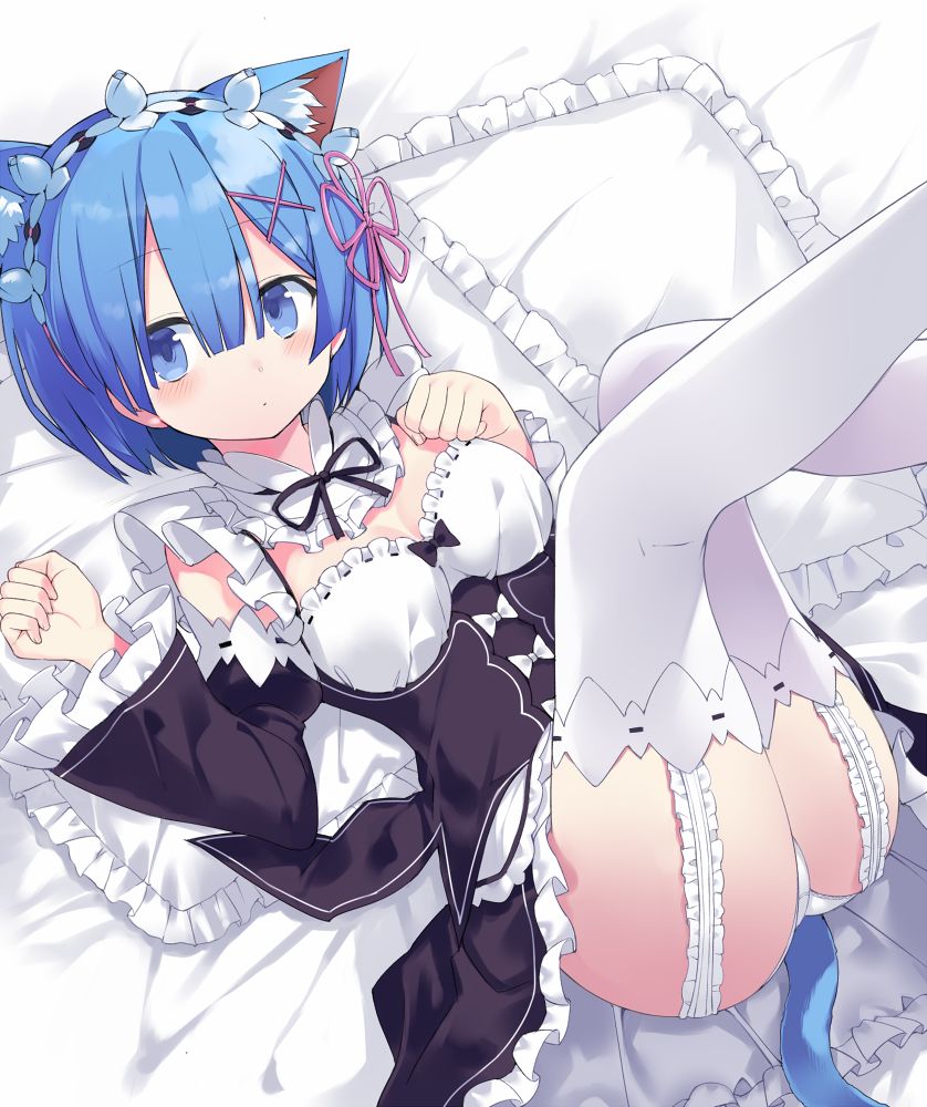 Neko Rem [Re:Zero] | Scrolller