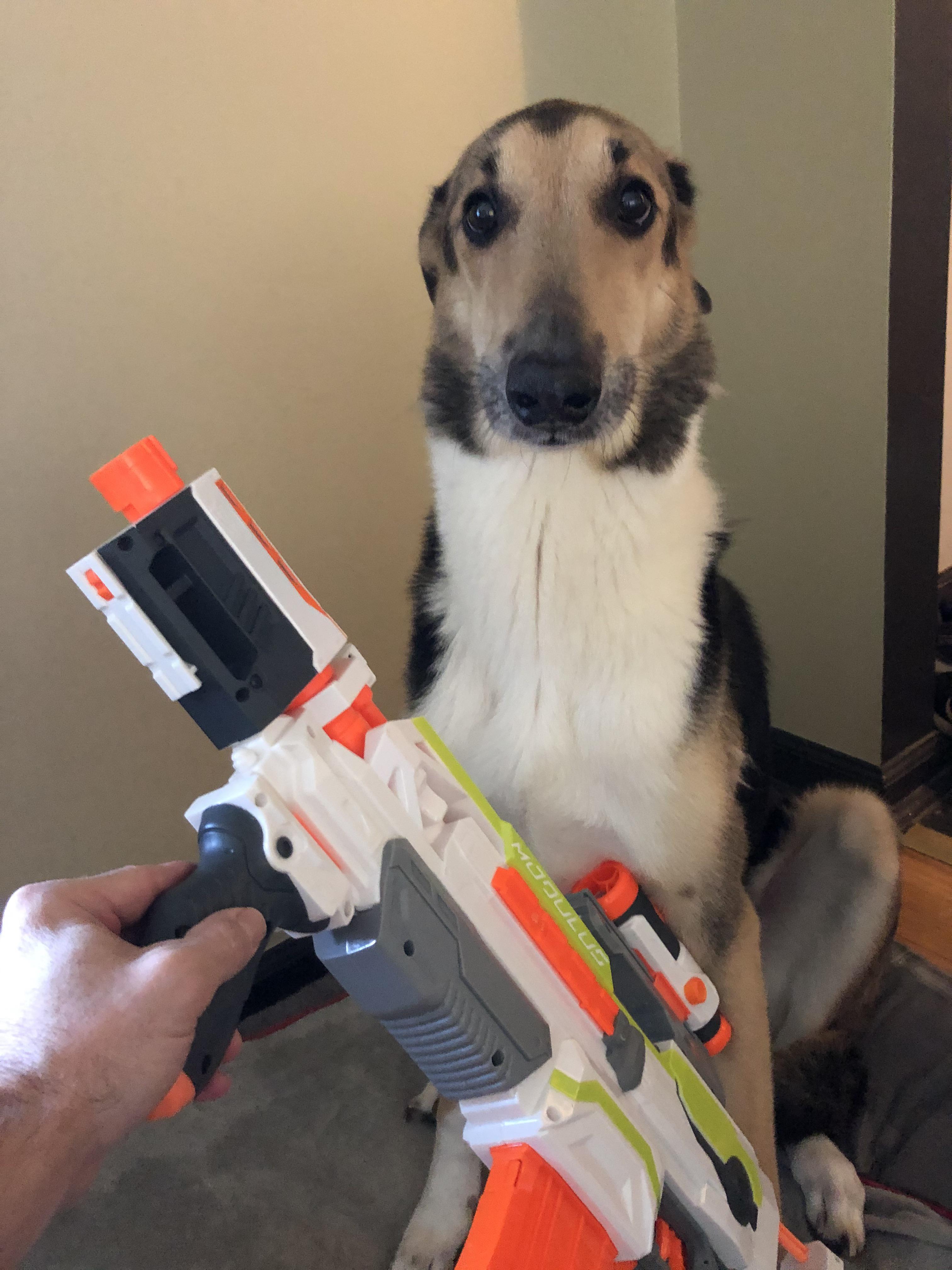 Nerf or Nothin | Scrolller