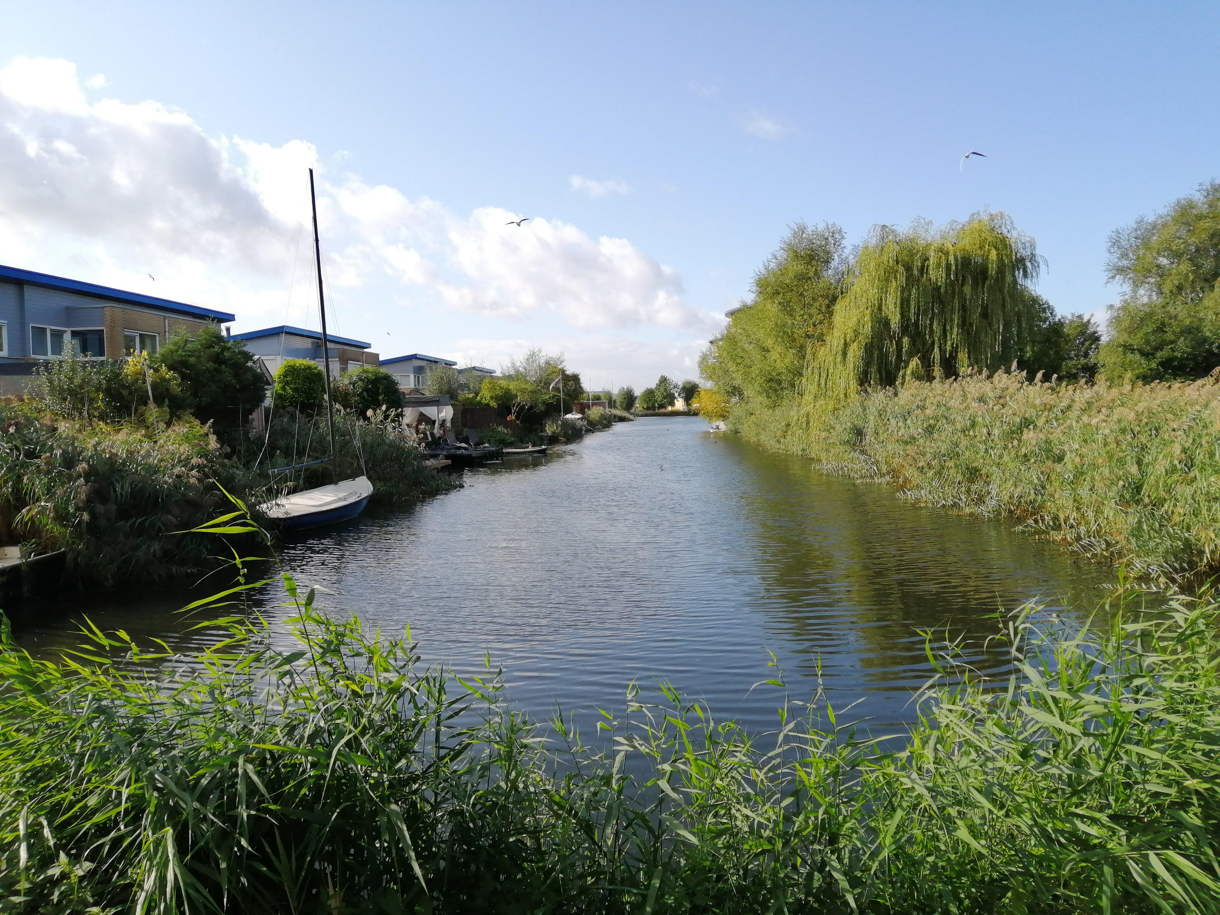 Netherlands | Scrolller