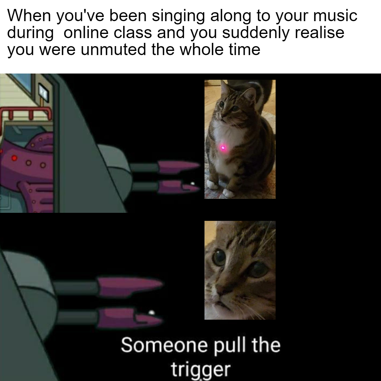 Never again. | Scrolller