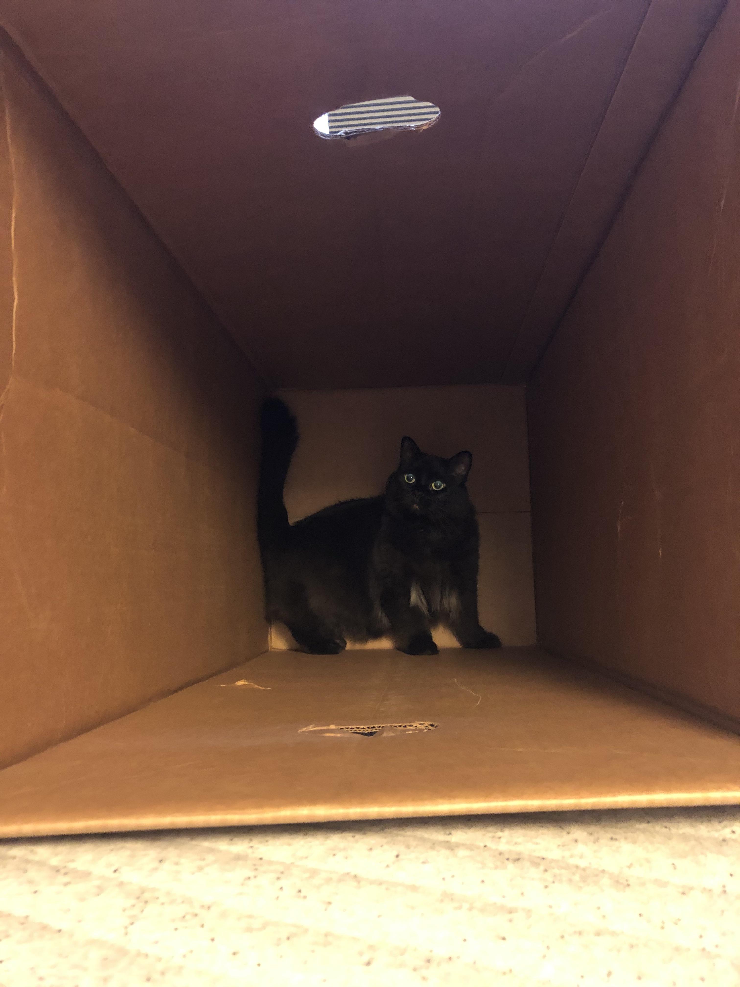 Never trust a girl with crazy eyes. | Scrolller