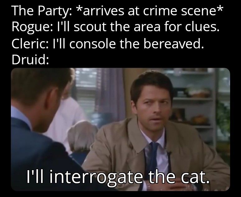 Never trust the cat. | Scrolller