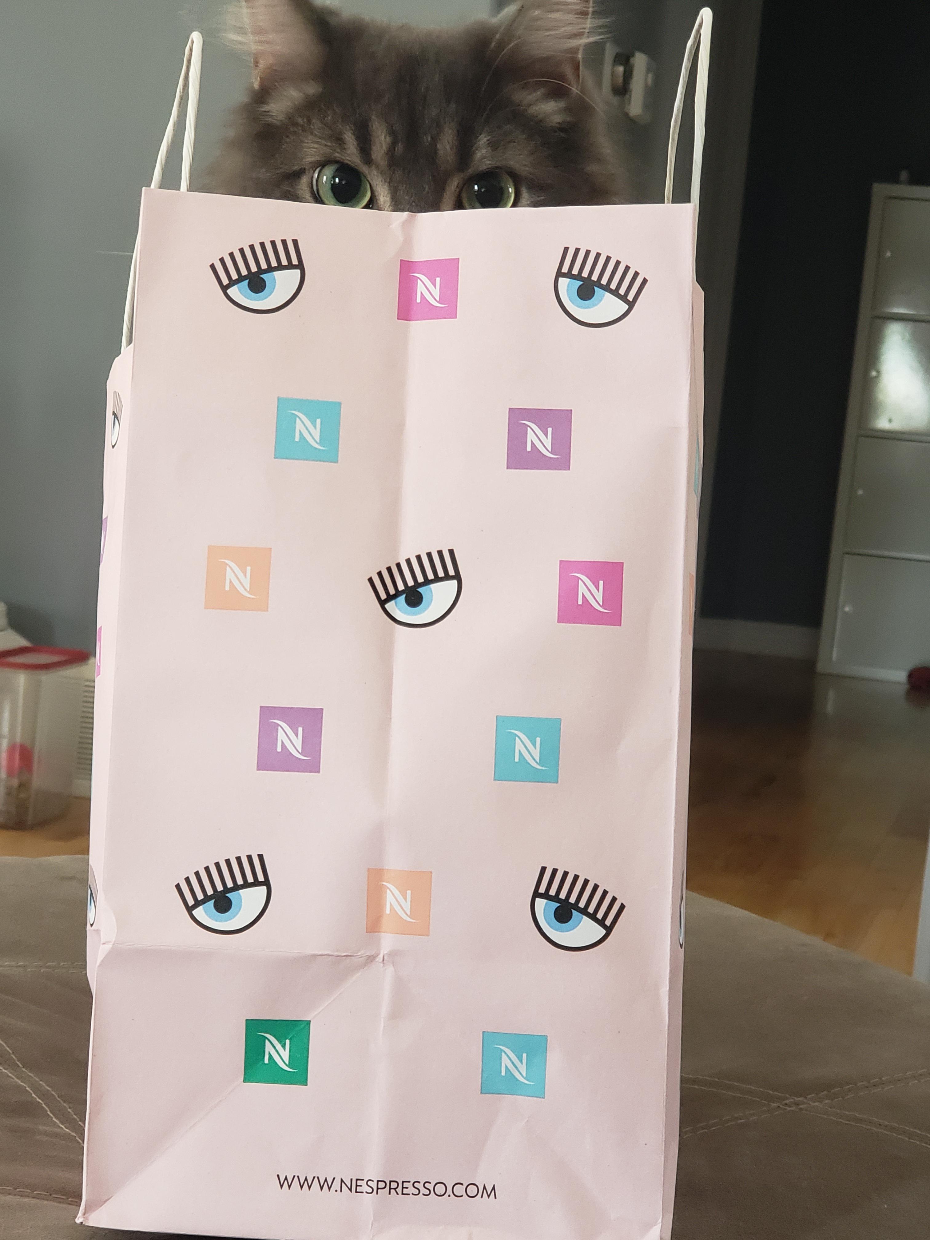 New and Limited Edition. | Scrolller