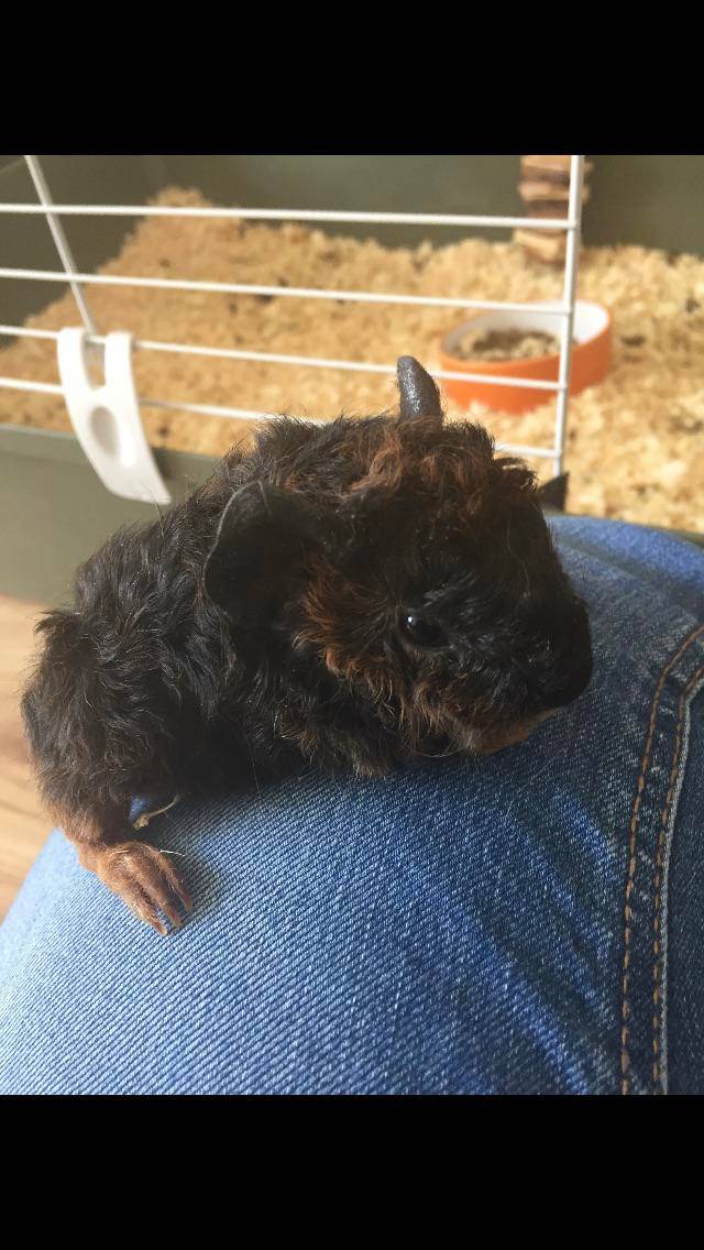 New babies ️ ️ | Scrolller