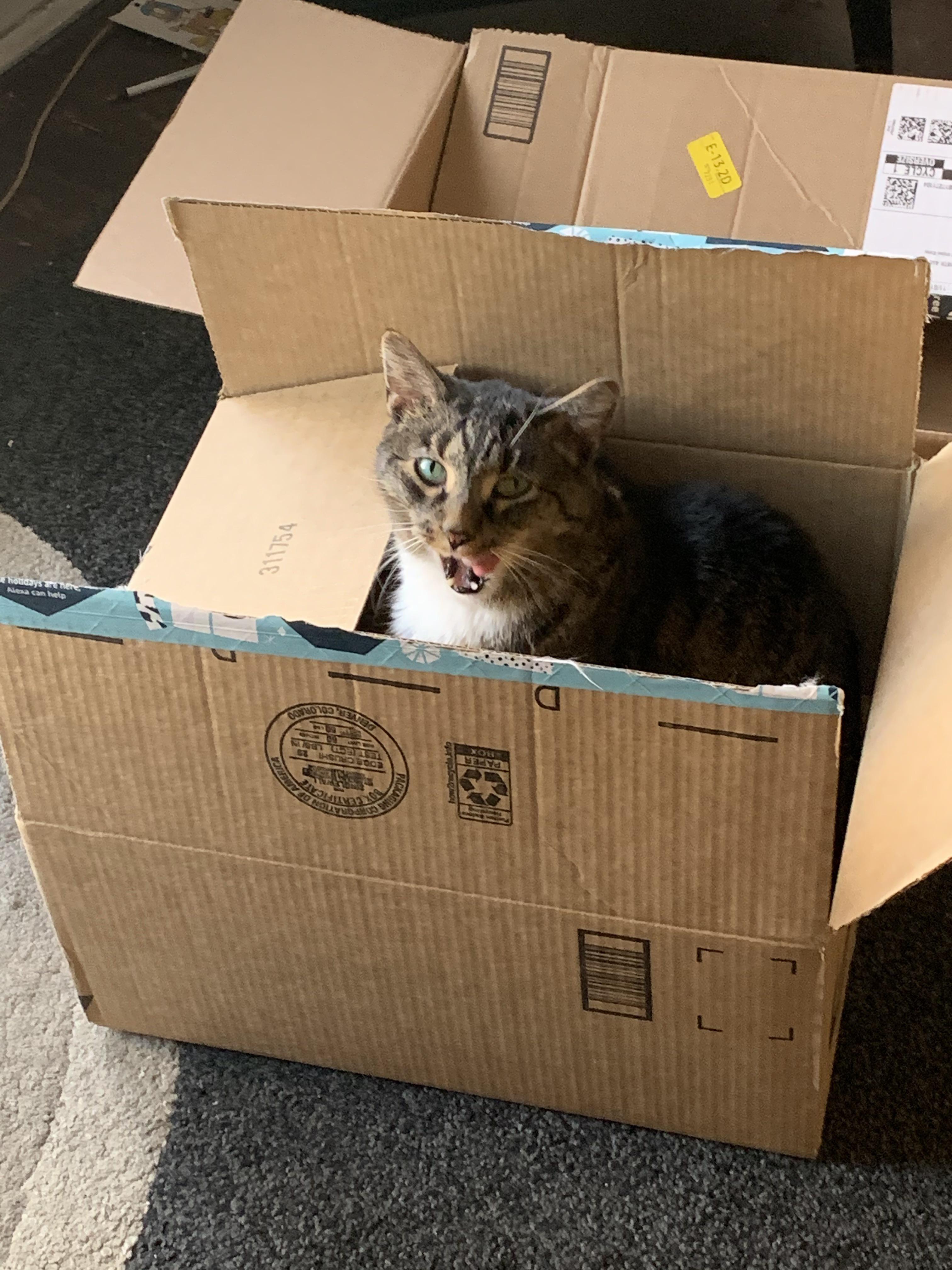New box, but of course I can’t discard the first one. Soon Mo will have ... New box, but of course I can’t discard the first one. Soon Mo will have ...