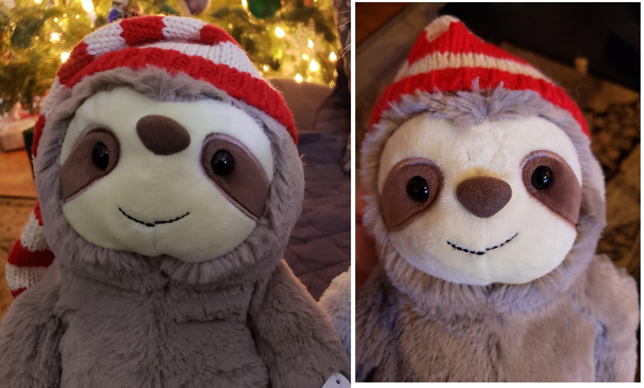 New Christmas sloth needed rhinoplasty | Scrolller