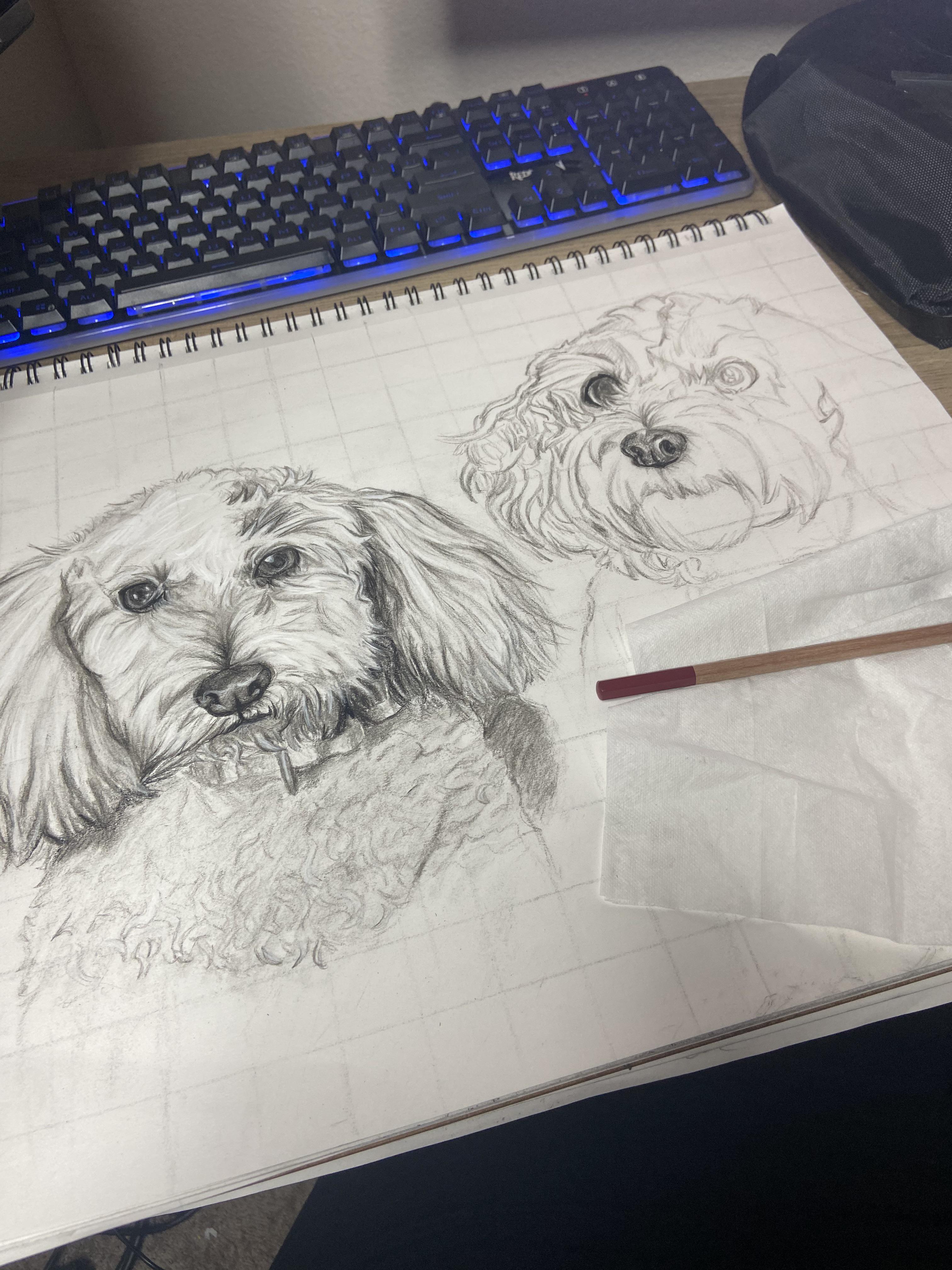 New Commission WIP | Scrolller