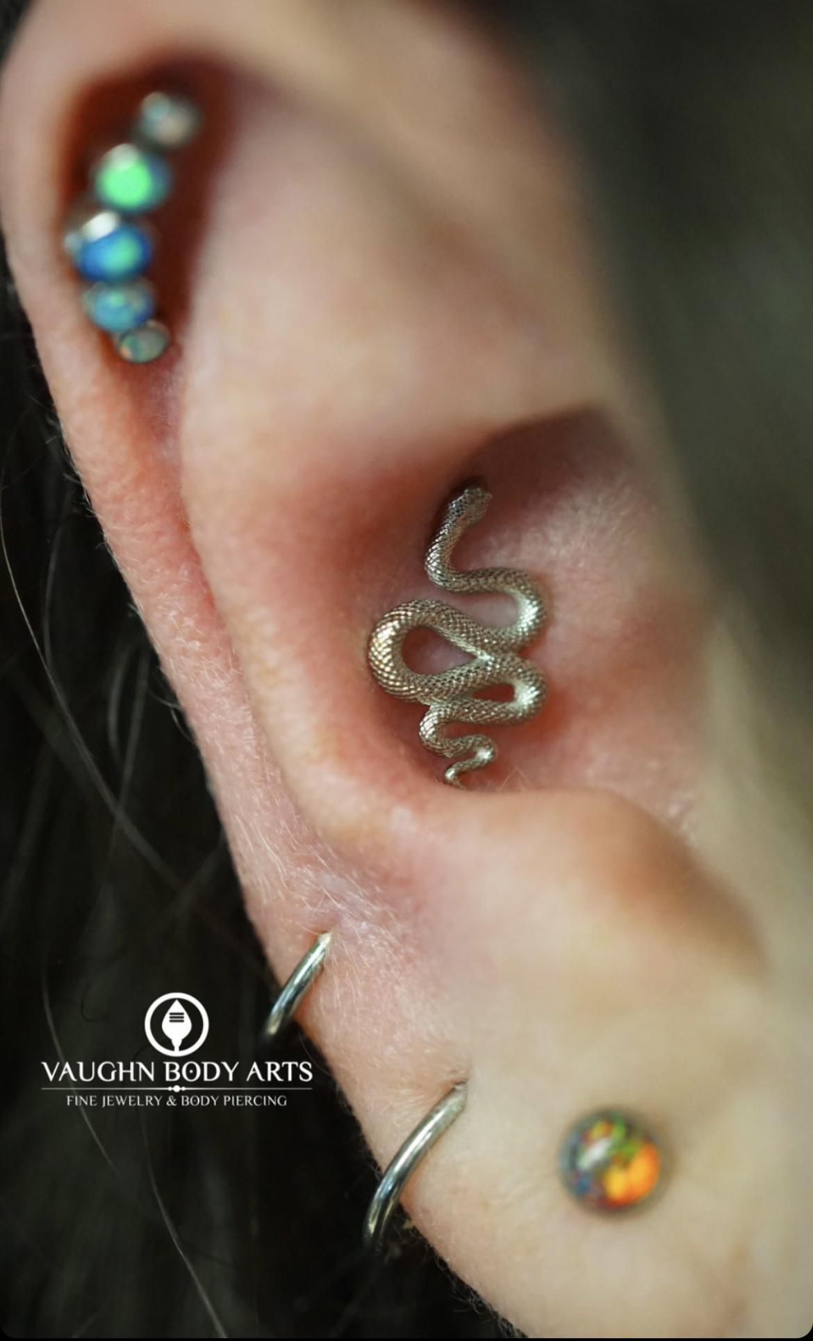 New conch | Scrolller