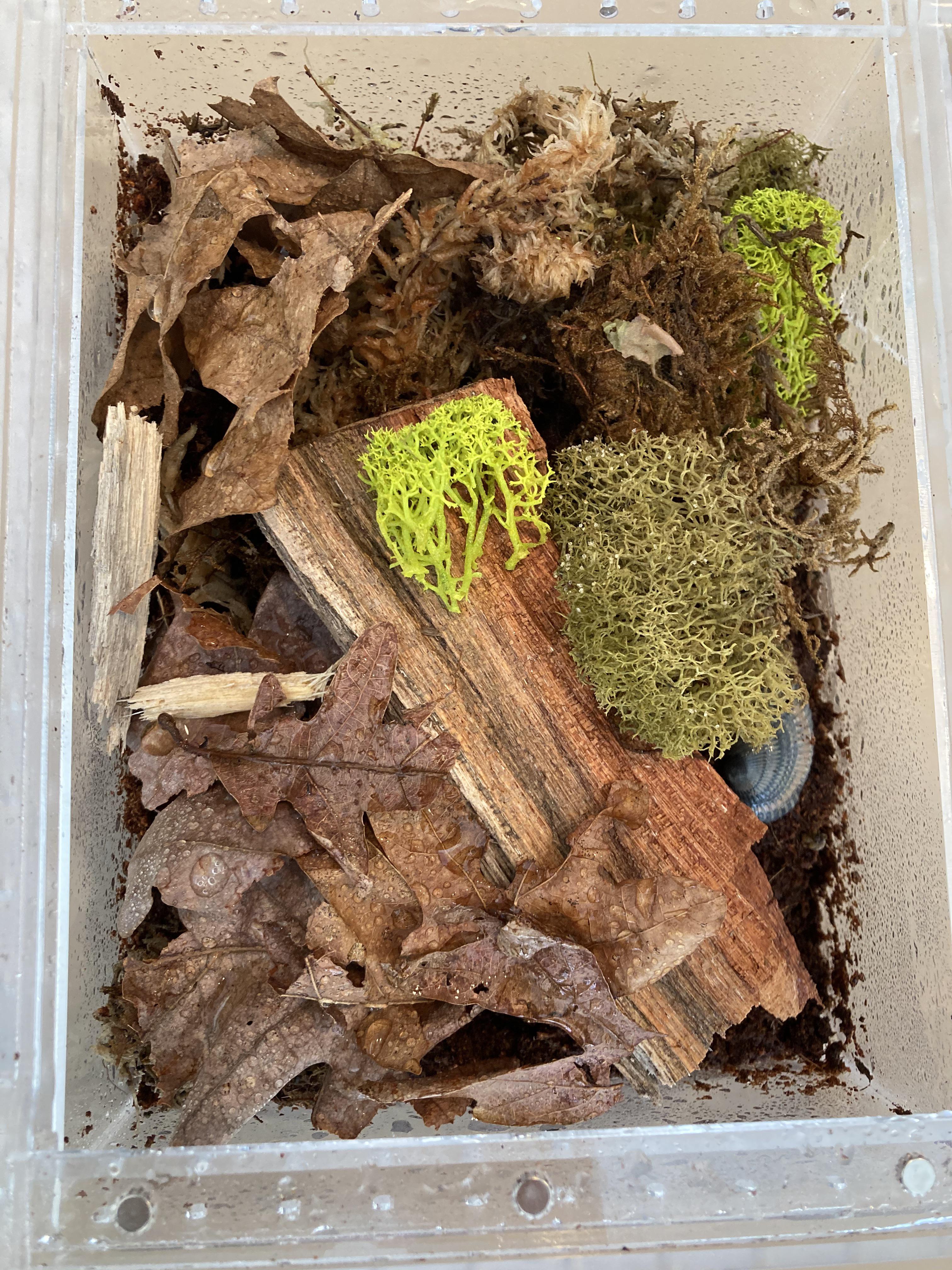 New Enclosure! | Scrolller