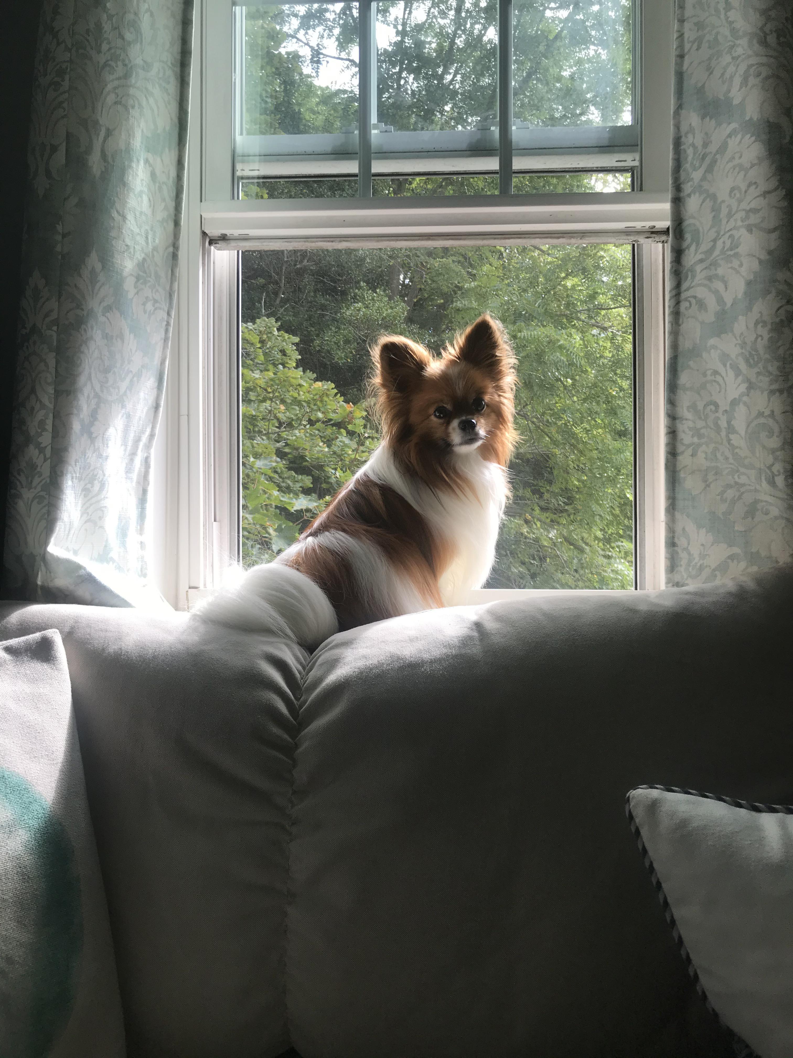 New favorite spot | Scrolller