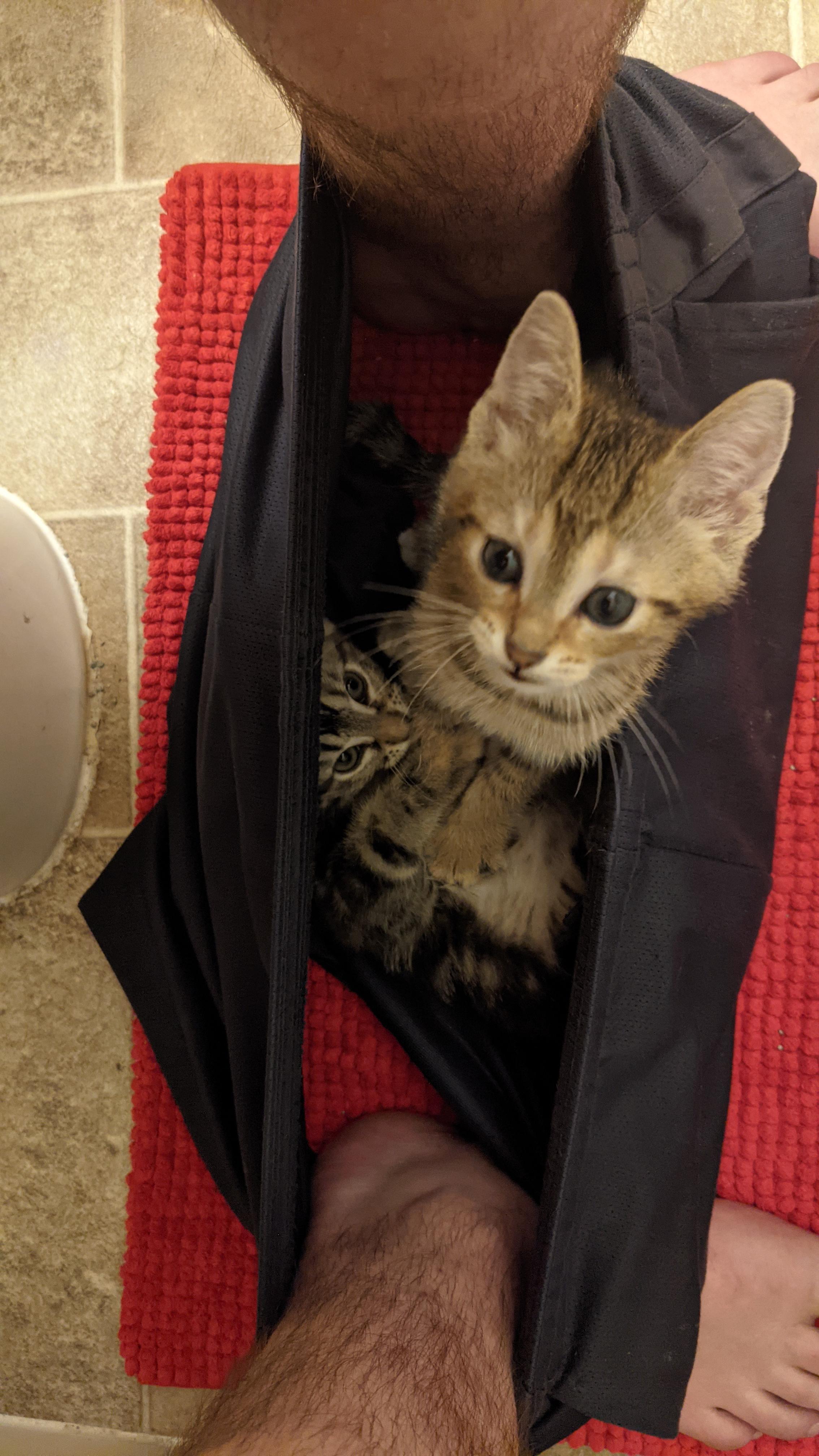 New fosters means new pooping buddies! | Scrolller