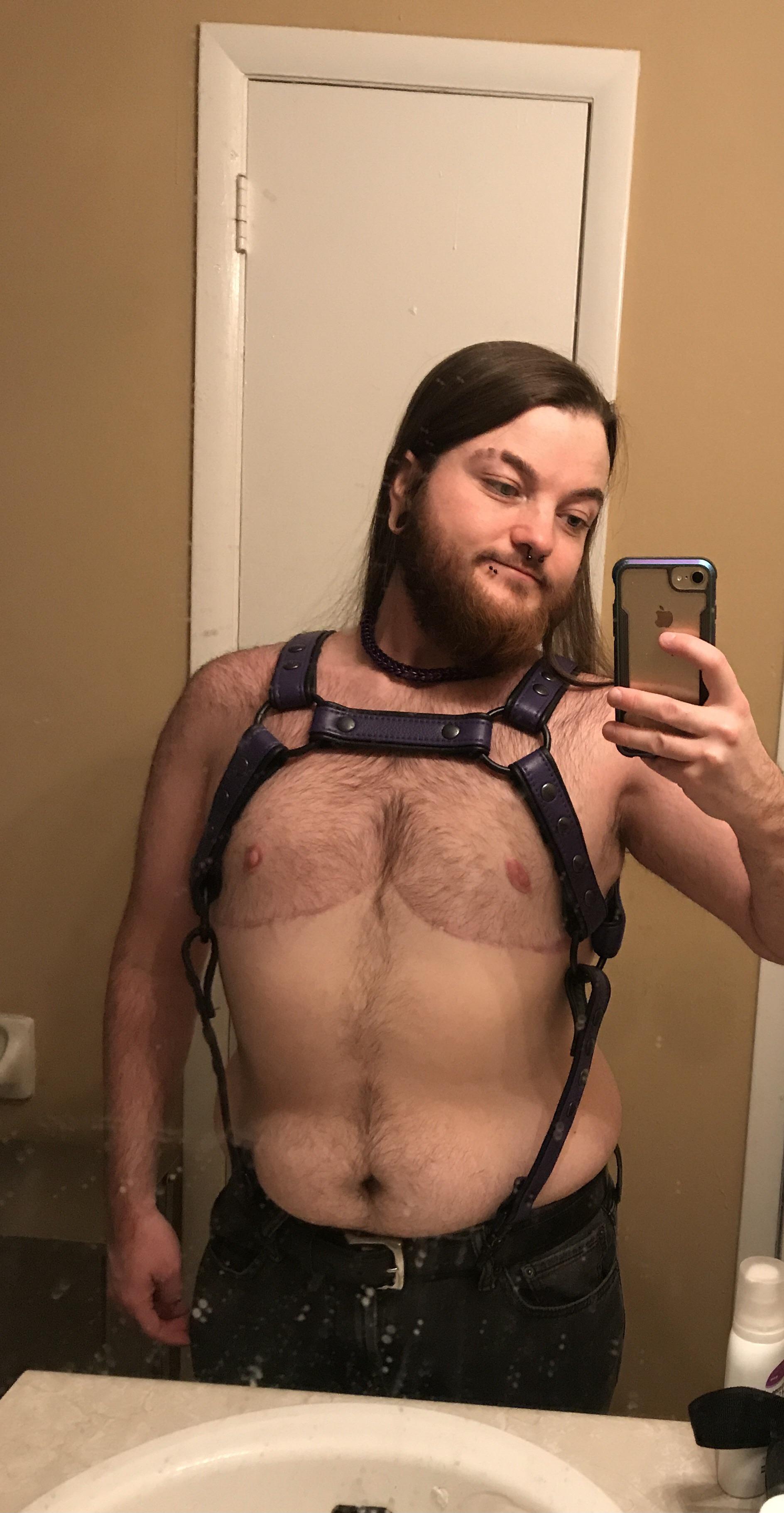 New harness from Barking Leather in ATL! | Scrolller