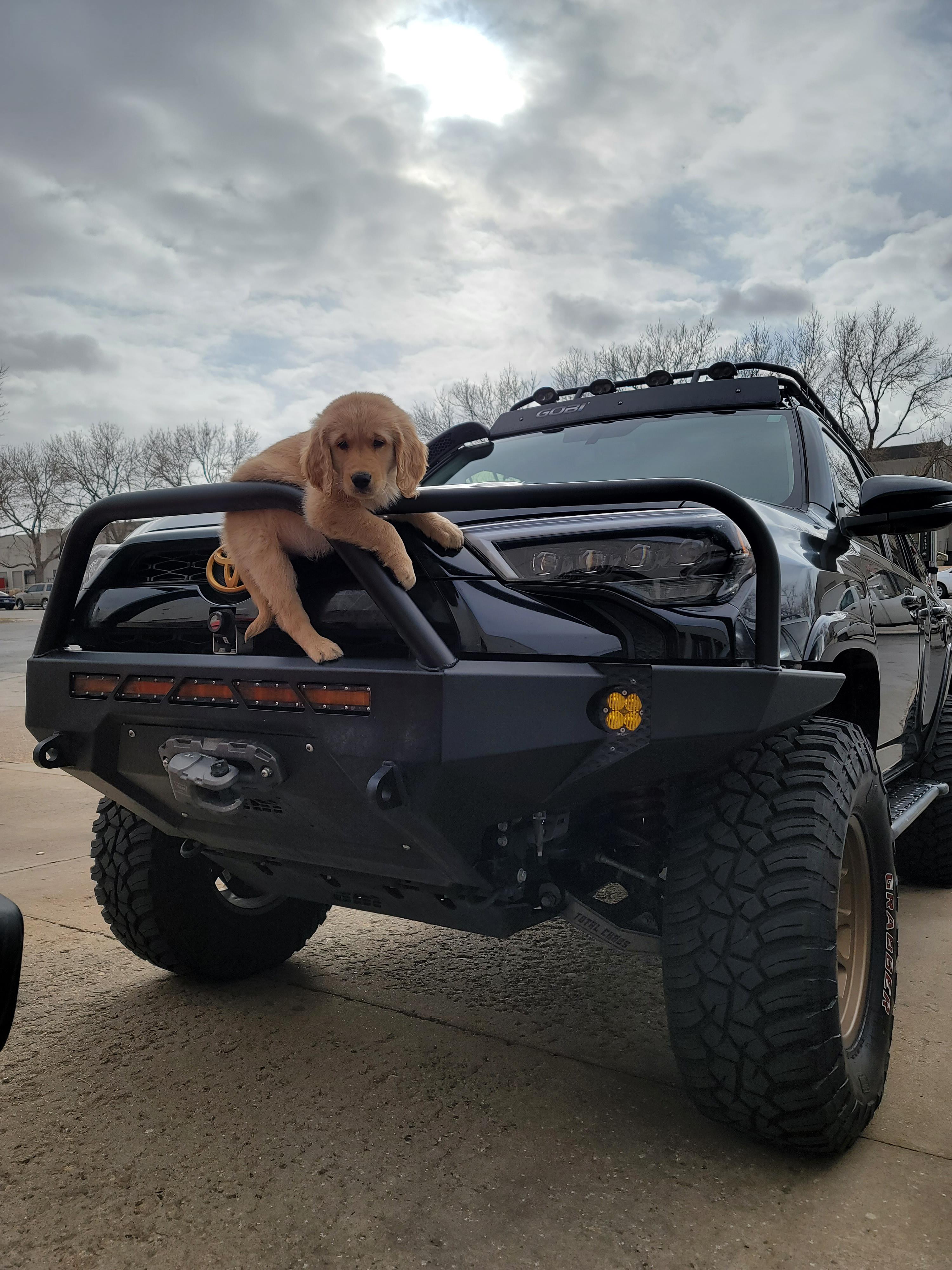 New hood ornament for the 5th gen | Scrolller