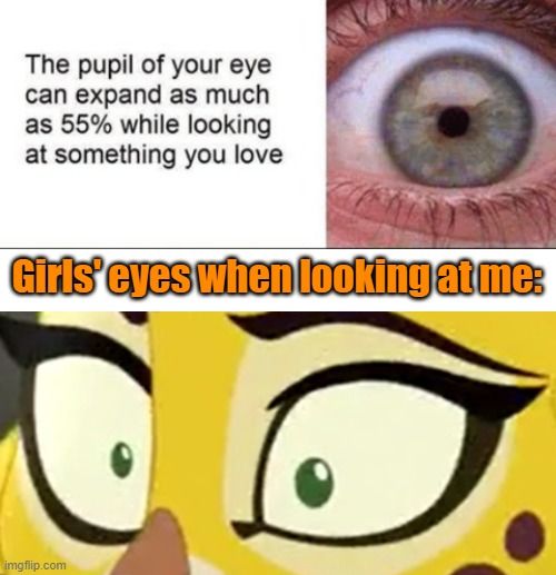 New Meme Template Scrolller