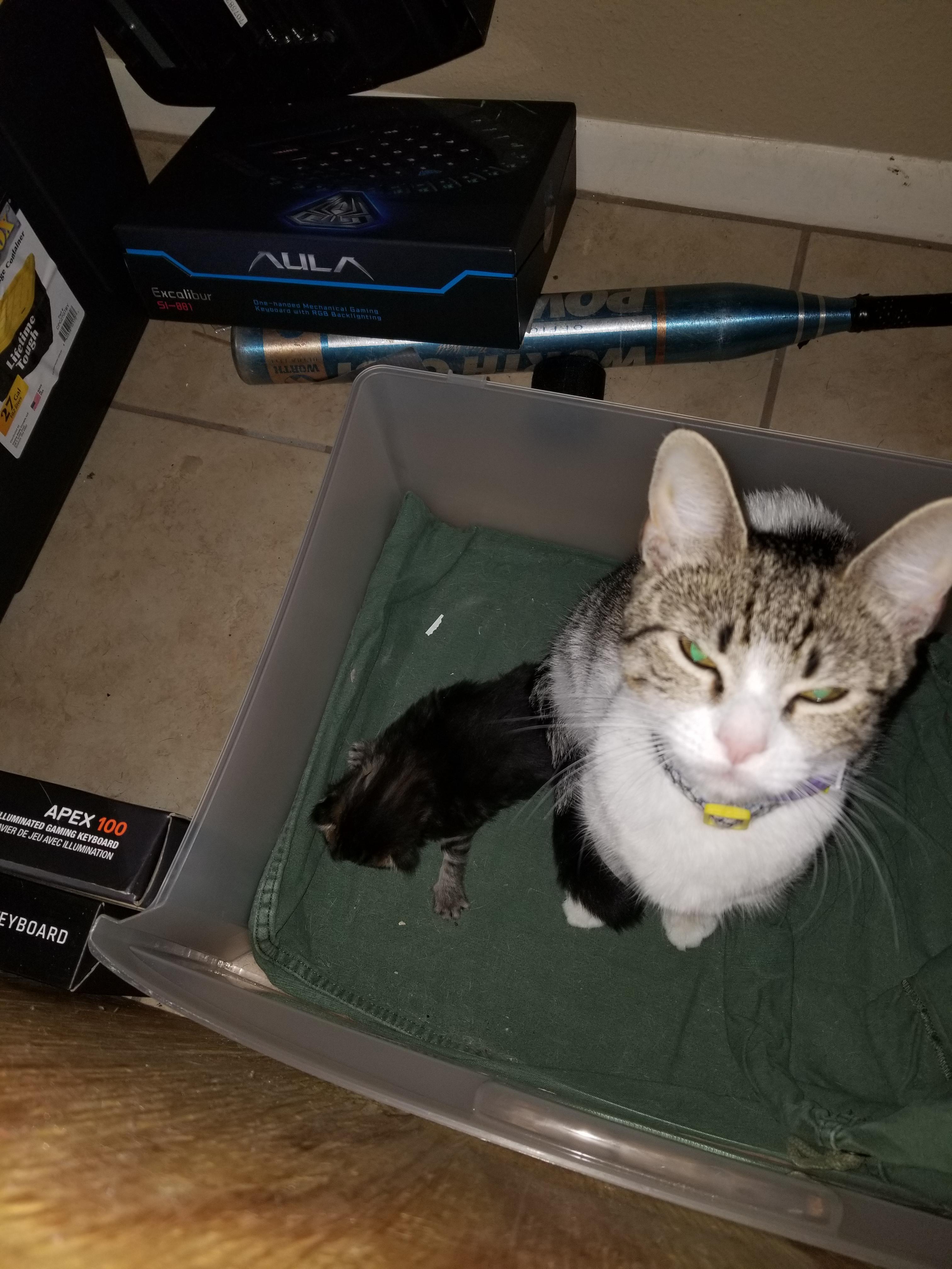 New mom blinded by pics | Scrolller