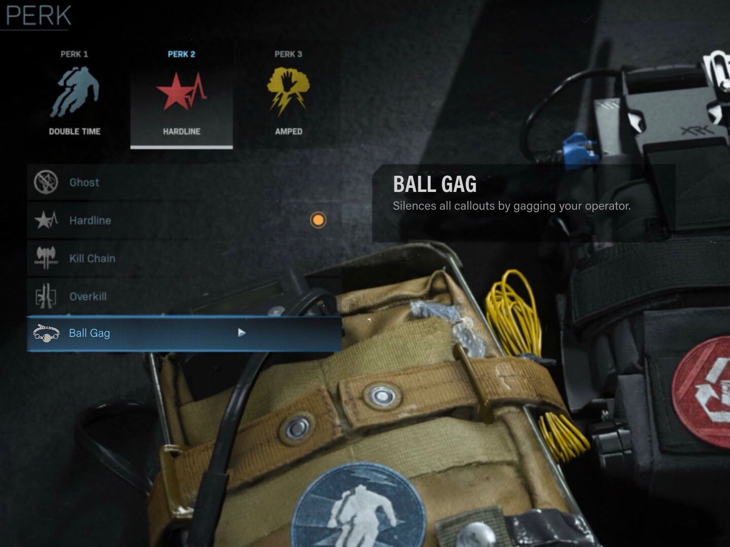 New Perk Leaked | Scrolller