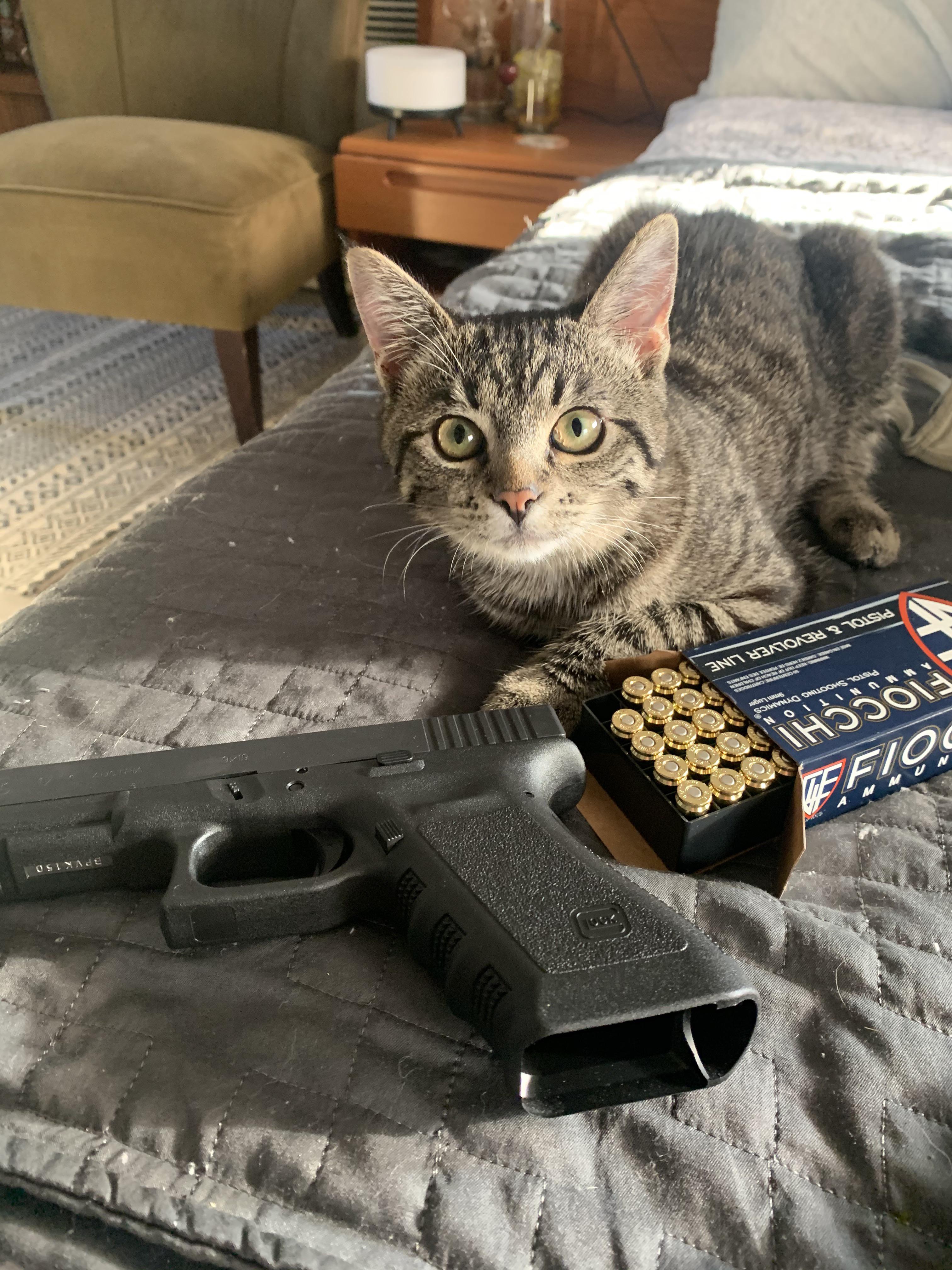 New range partner | Scrolller