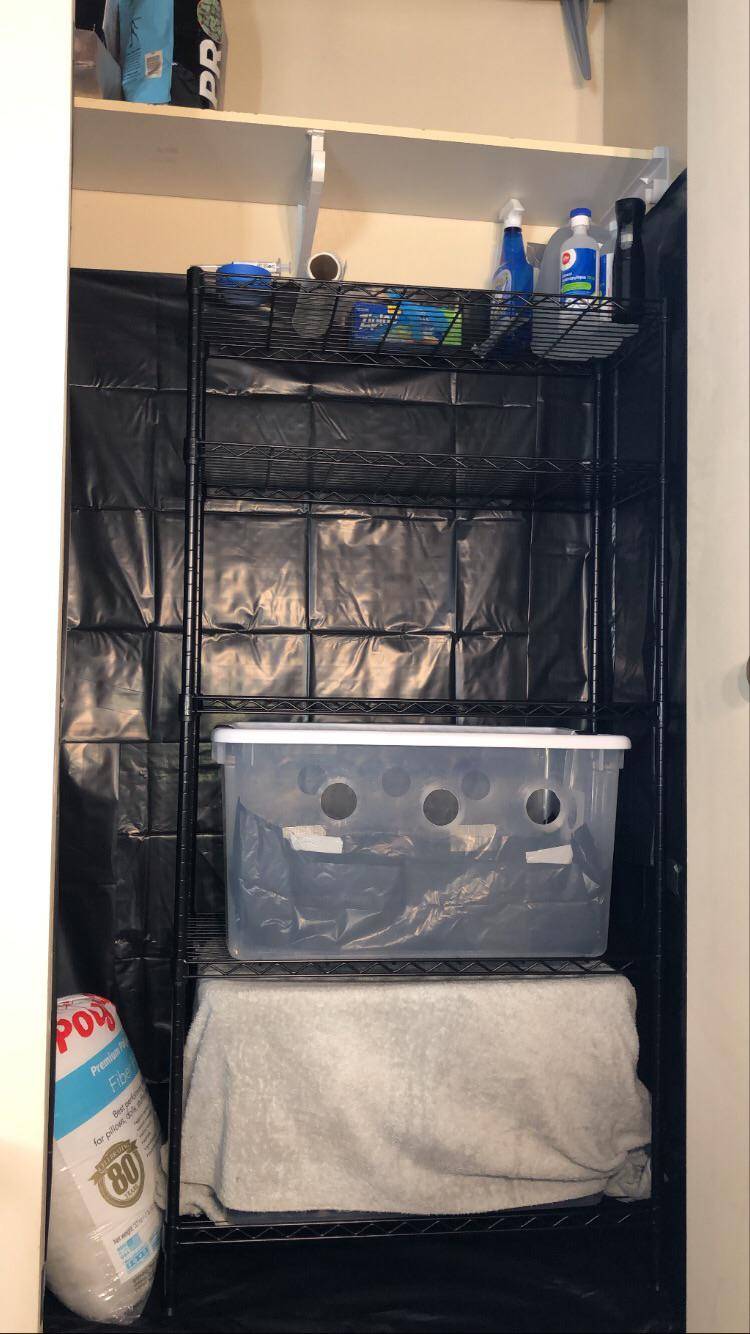 New shelf for the closet lab🤙🏼 gonna inculcate a whole lotta jars this weekend 🤓🍄 | Scrolller