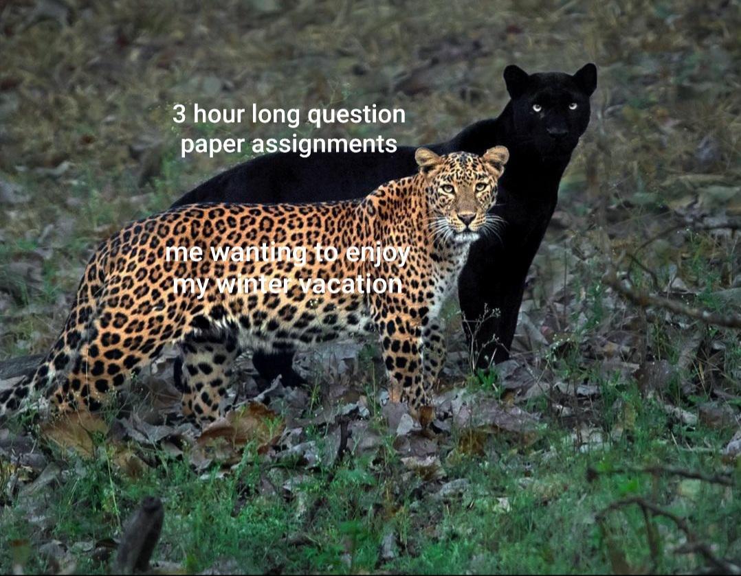 New template? | Scrolller