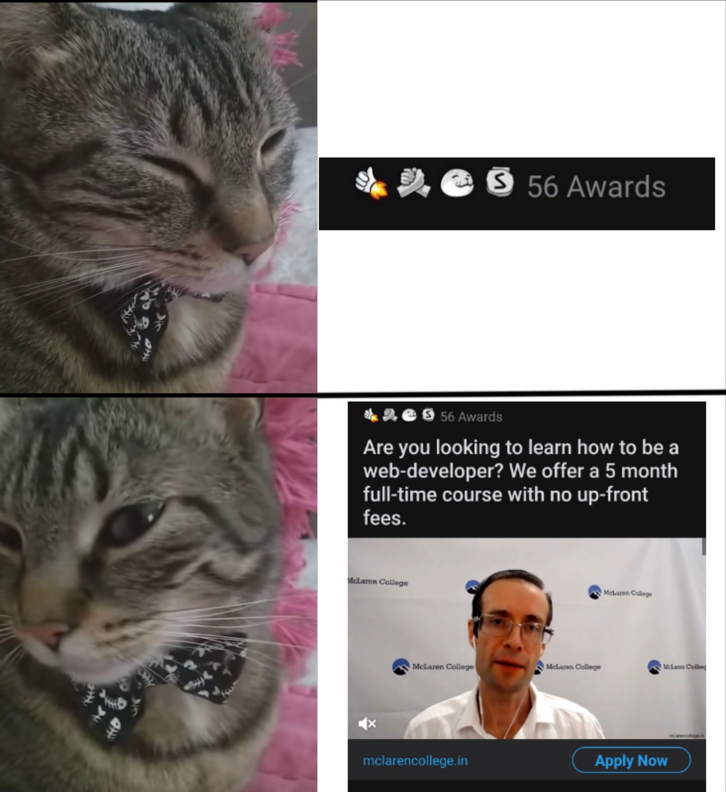 New template!! Blank template is in the comments | Scrolller