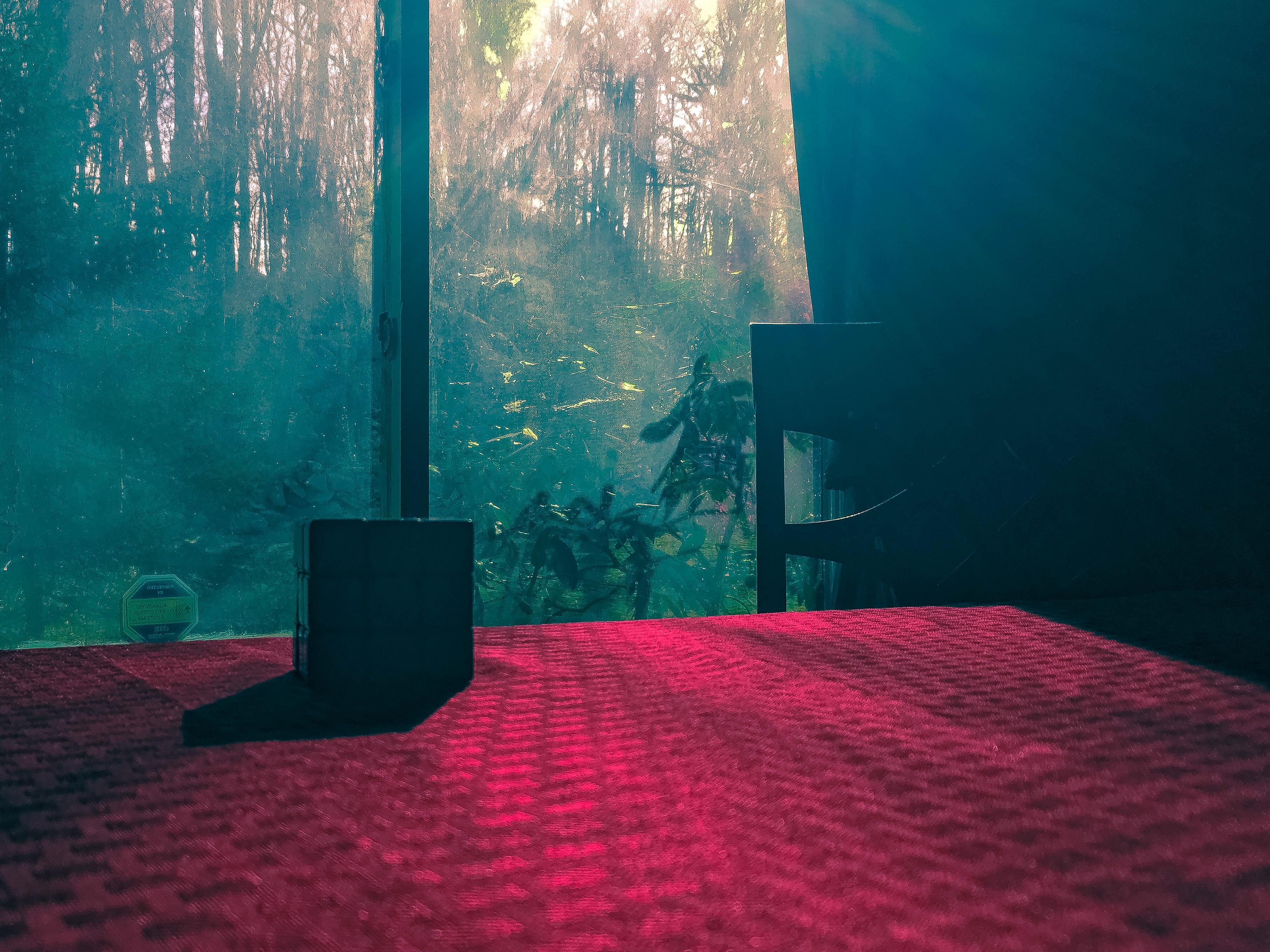 New to Lightroom! Thoughts on my first edit? | Scrolller