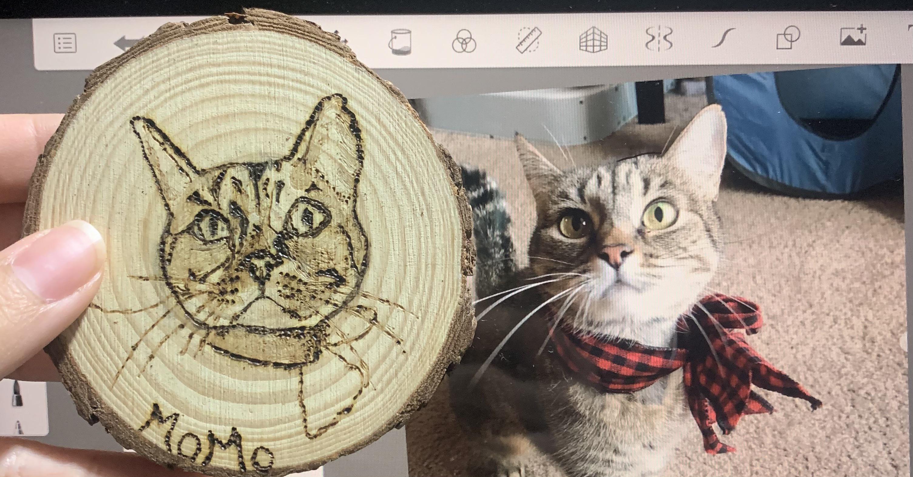 New to wood burning. Meet Momo. | Scrolller