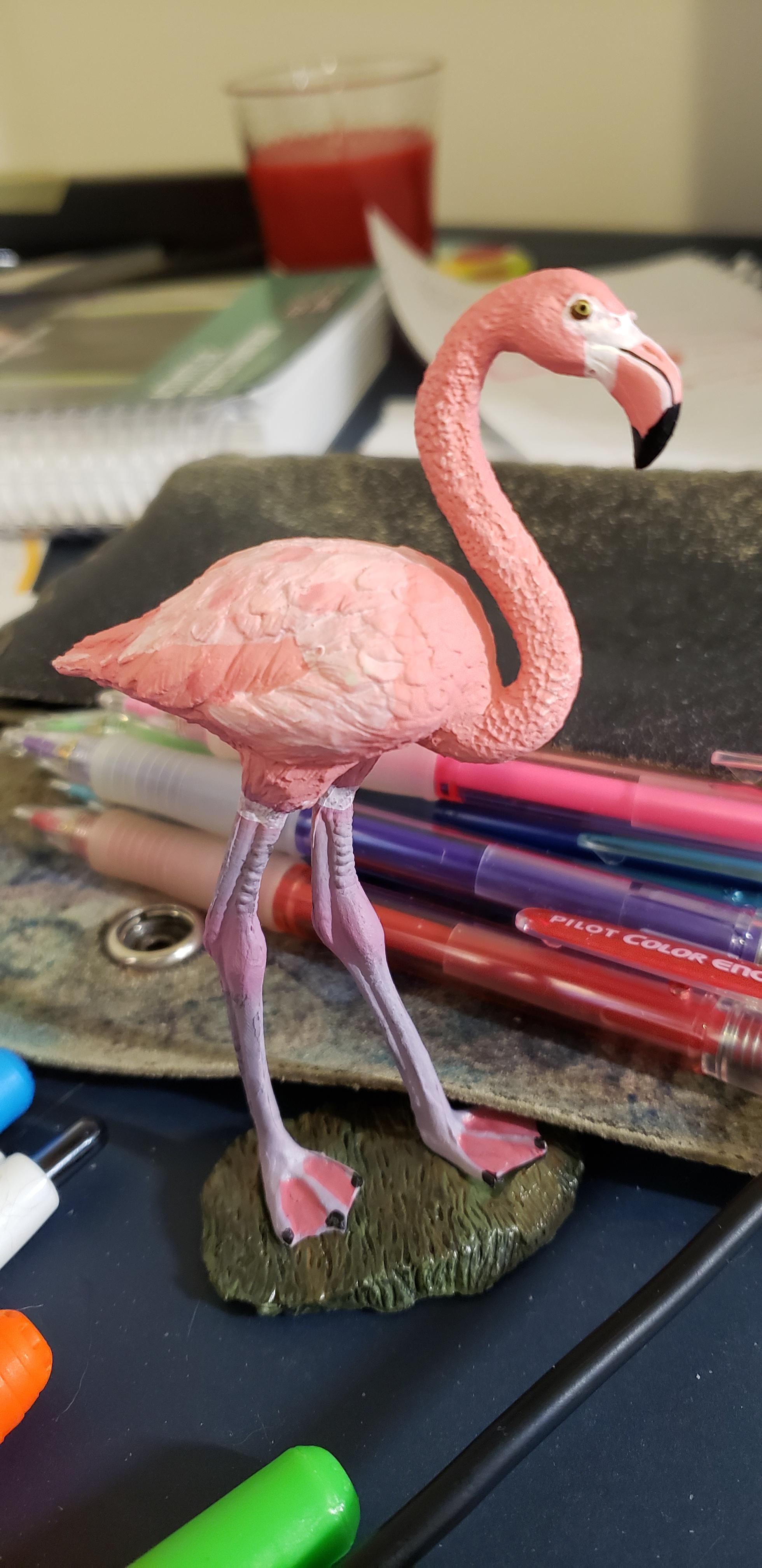 New work buddy! 🦩 | Scrolller