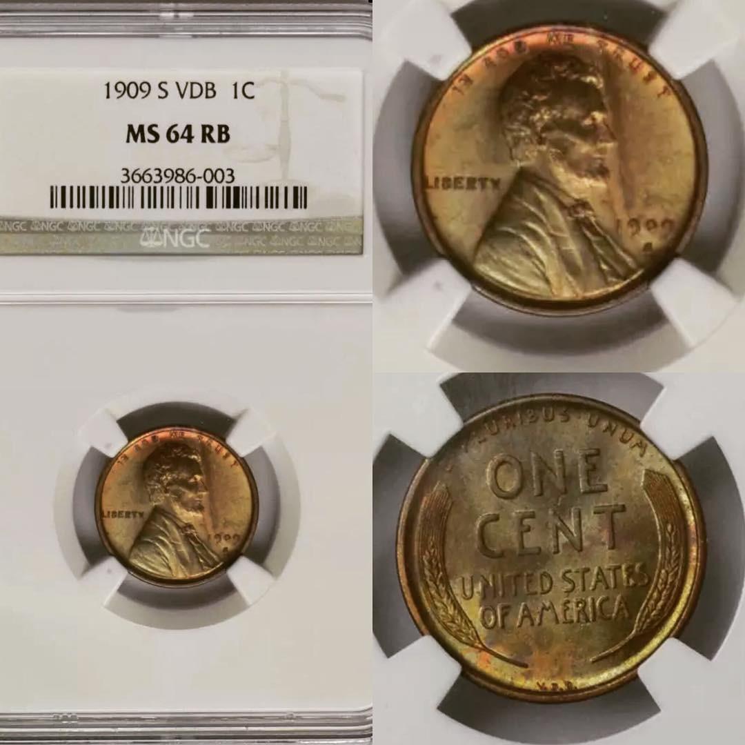 Newest acquisition | Scrolller