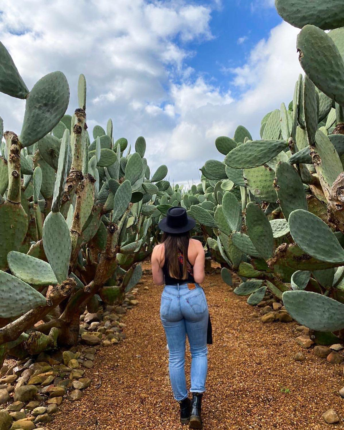 Nice ass in tight Levi's in a cactus forest | Scrolller