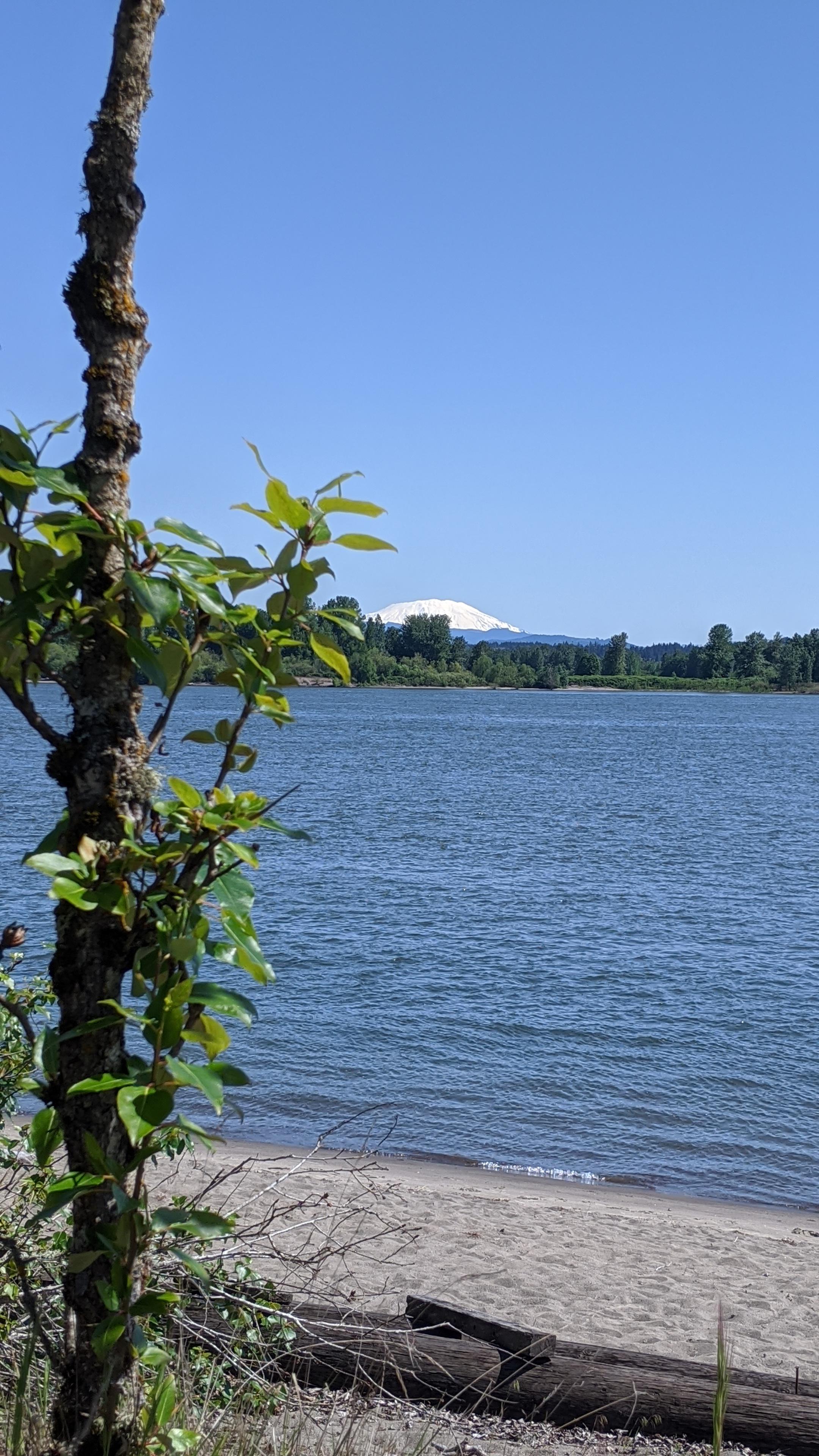 Nice little breeze today :) | Scrolller