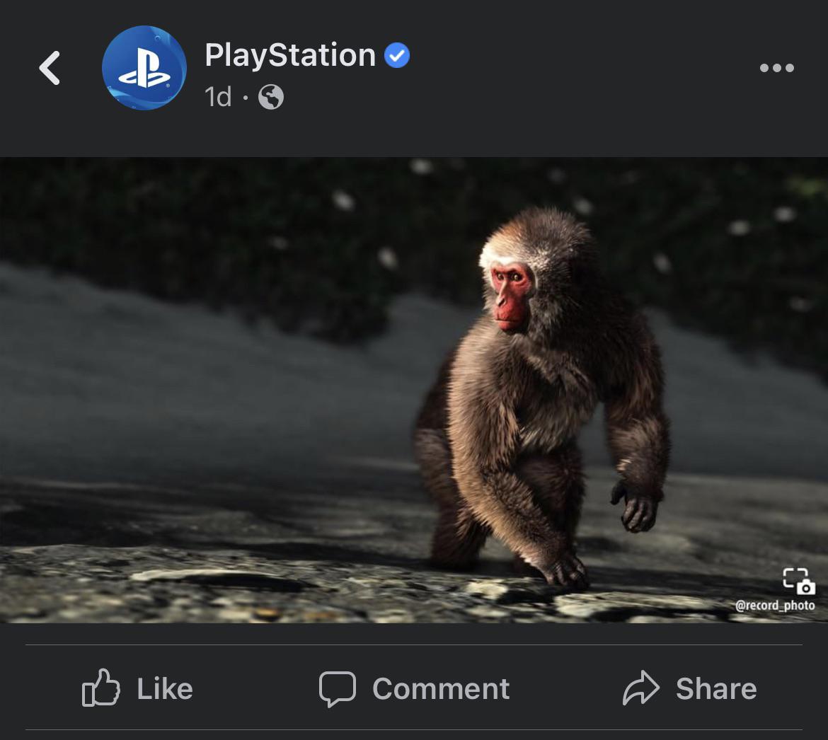 Nice Monkey on the moon Sony - BULLISH | Scrolller