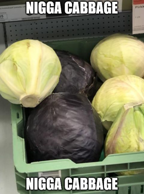 Nigeria cabbage. | Scrolller