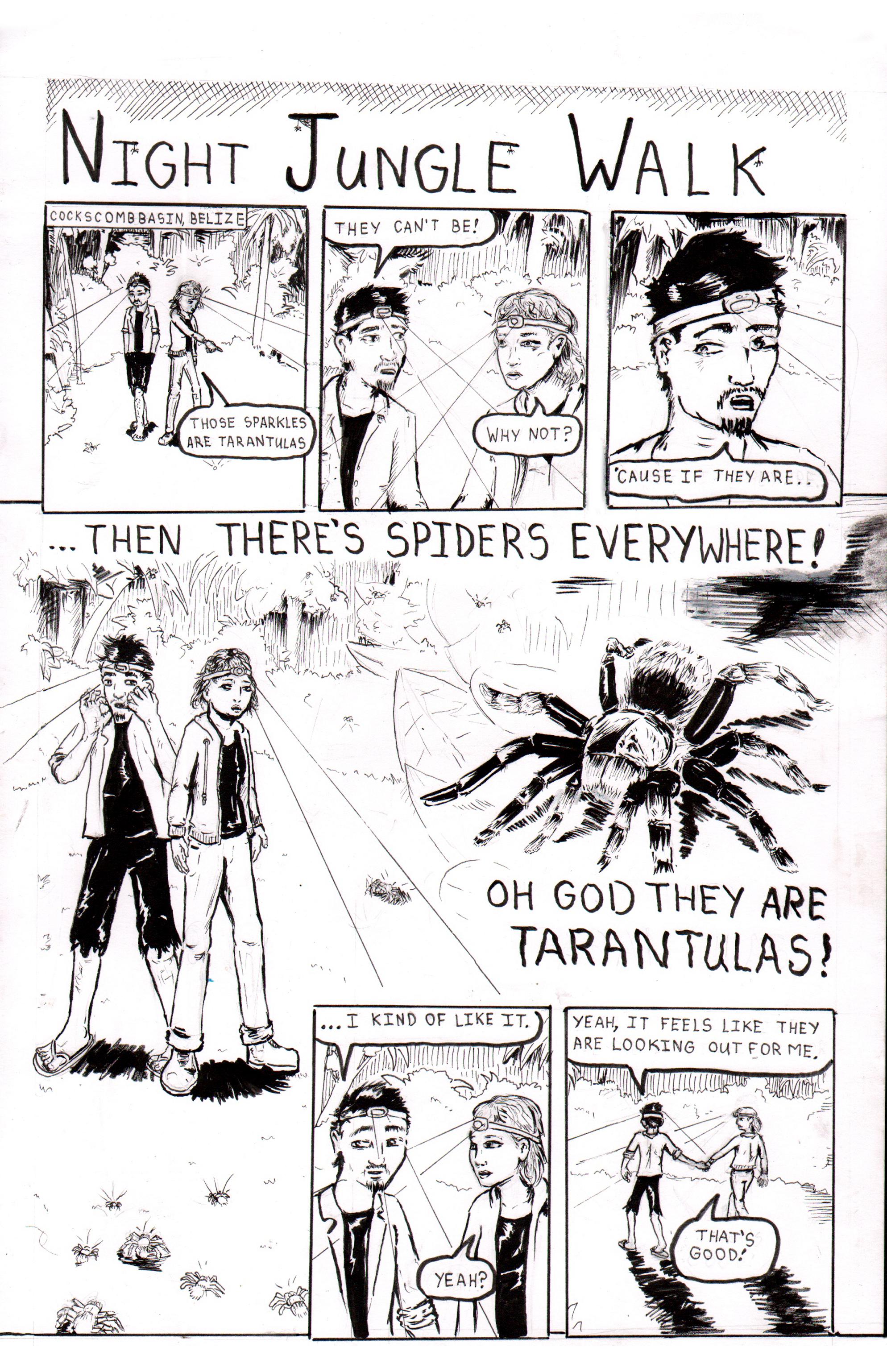 Night Jungle Walk | Scrolller