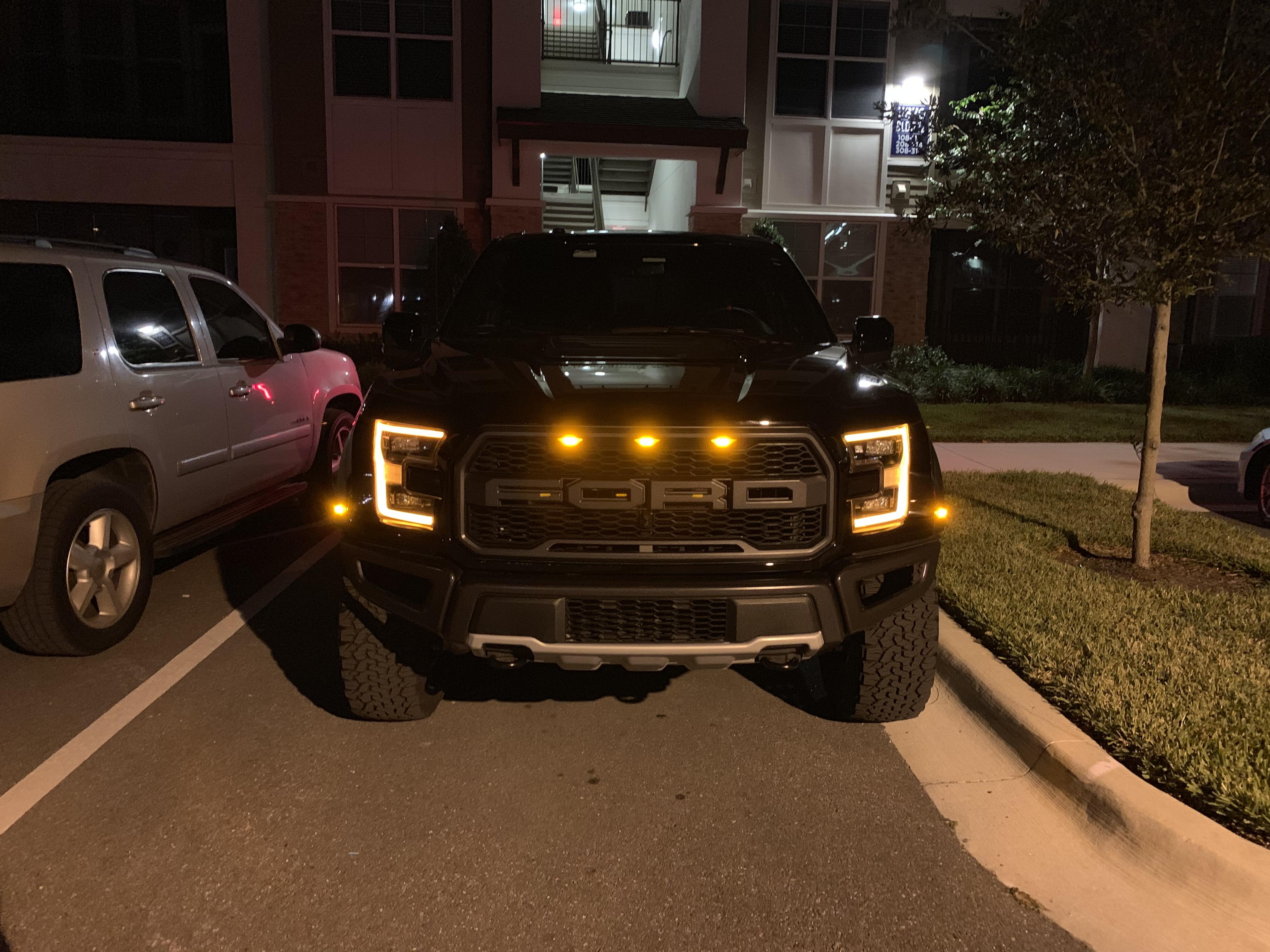 Night Raptor! | Scrolller