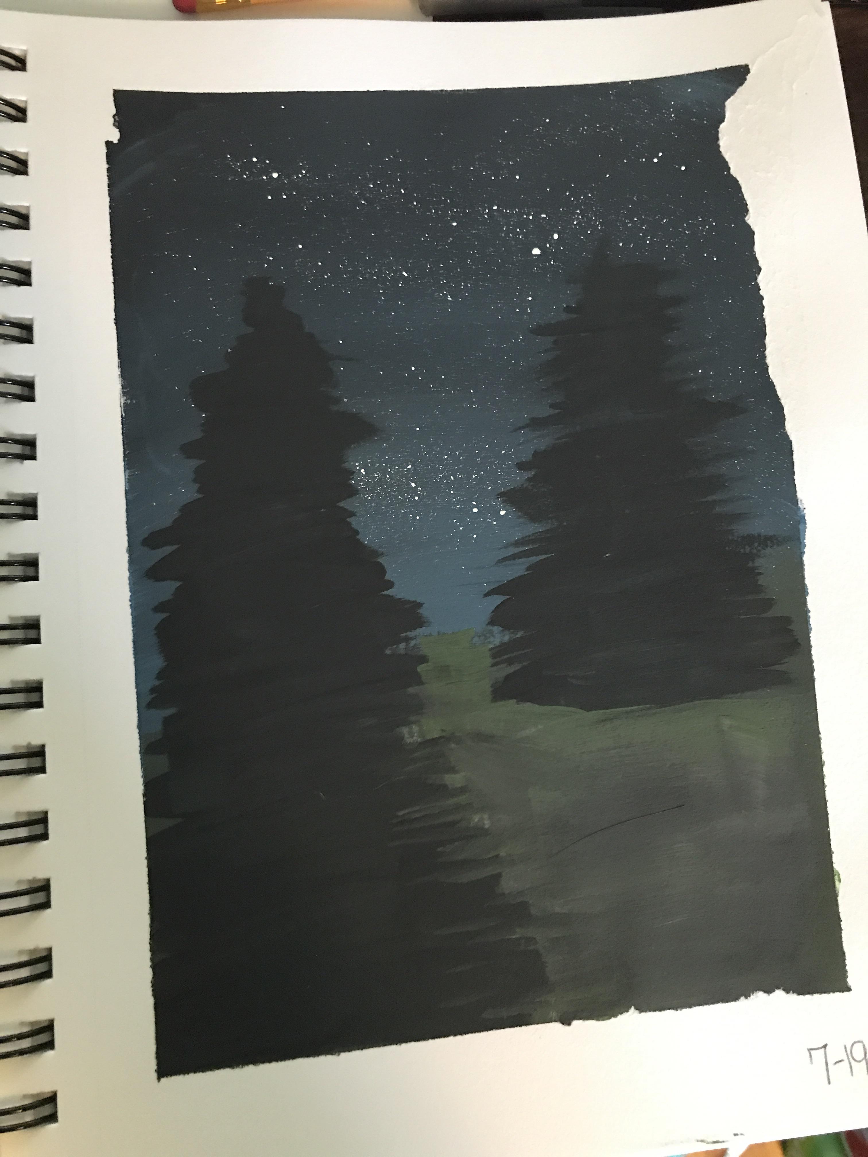 Night sky and some trees | Scrolller