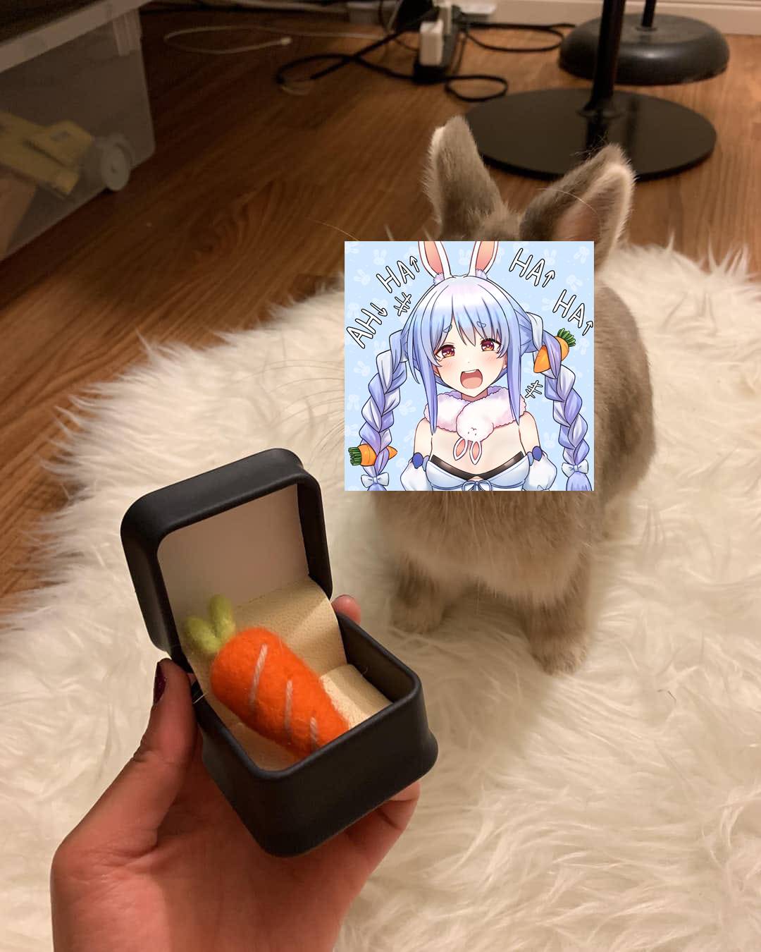 Ninjin for the usagi 🥕🐰 | Scrolller