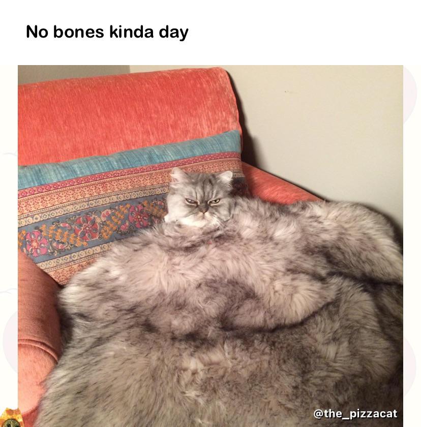 No bones kinda week | Scrolller