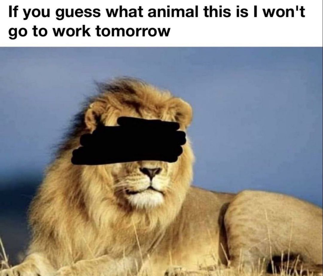 No cheating please... | Scrolller