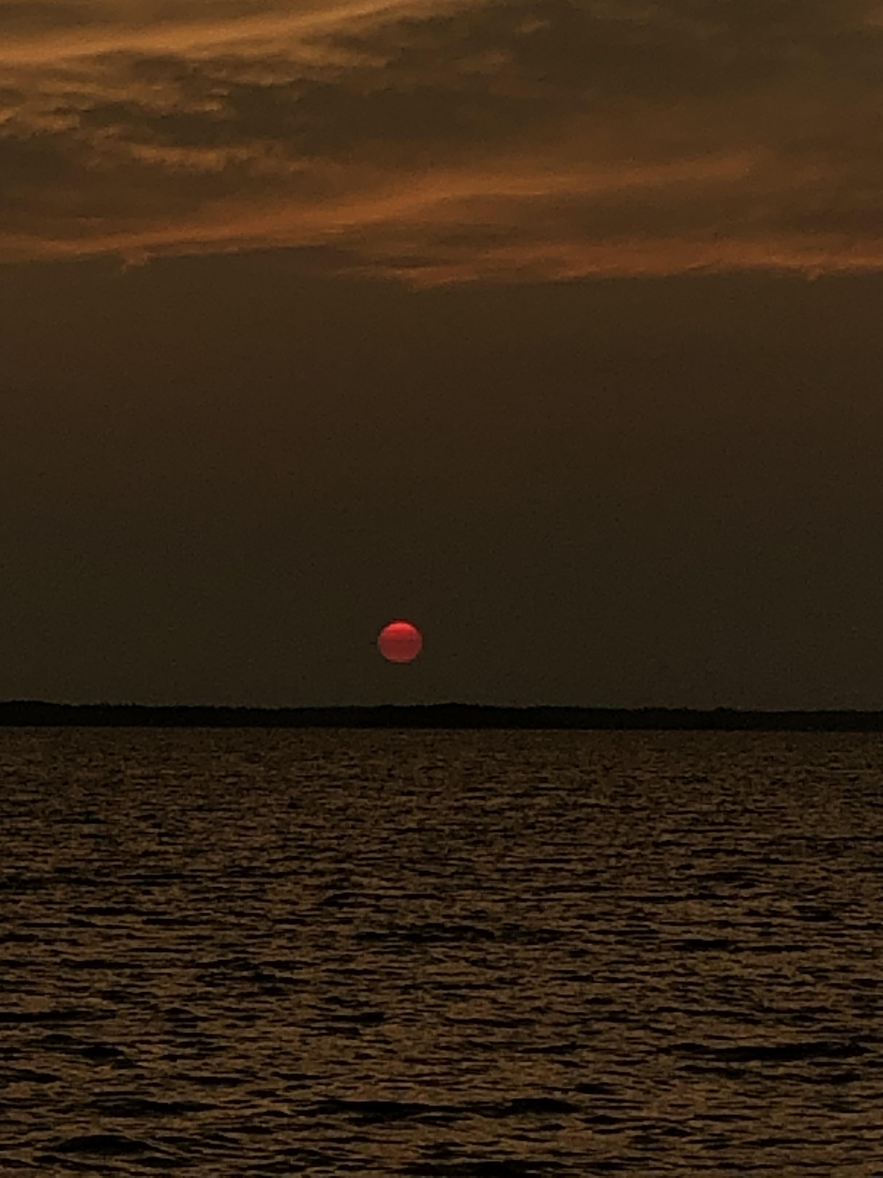 No comment needed | Scrolller