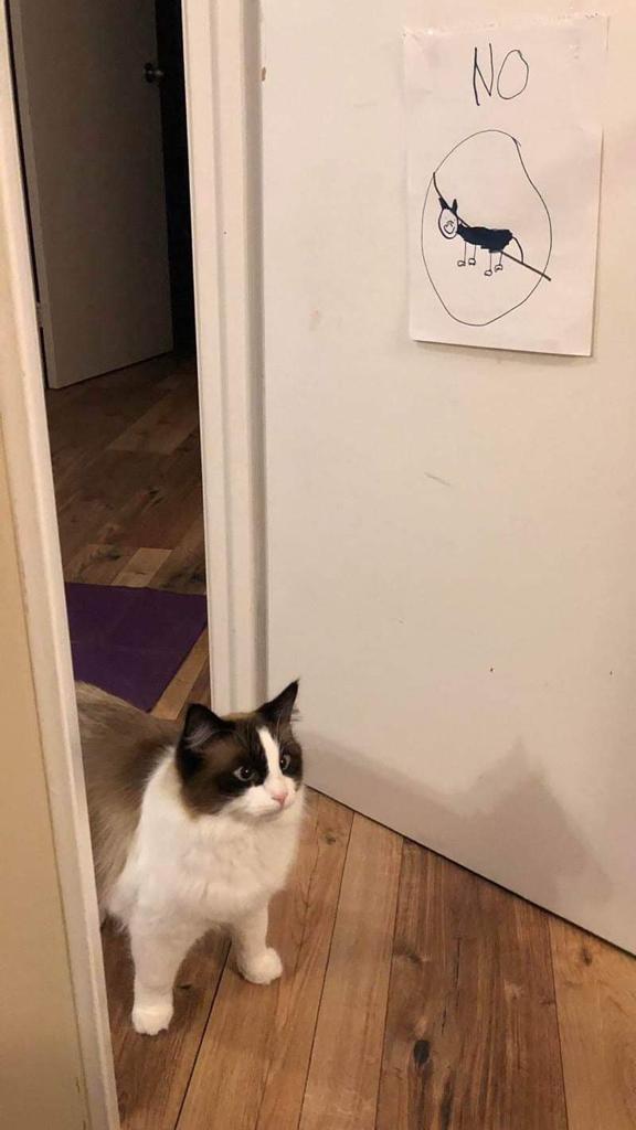 No Entry | Scrolller