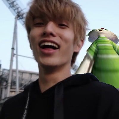 No Explanation Needed | Scrolller