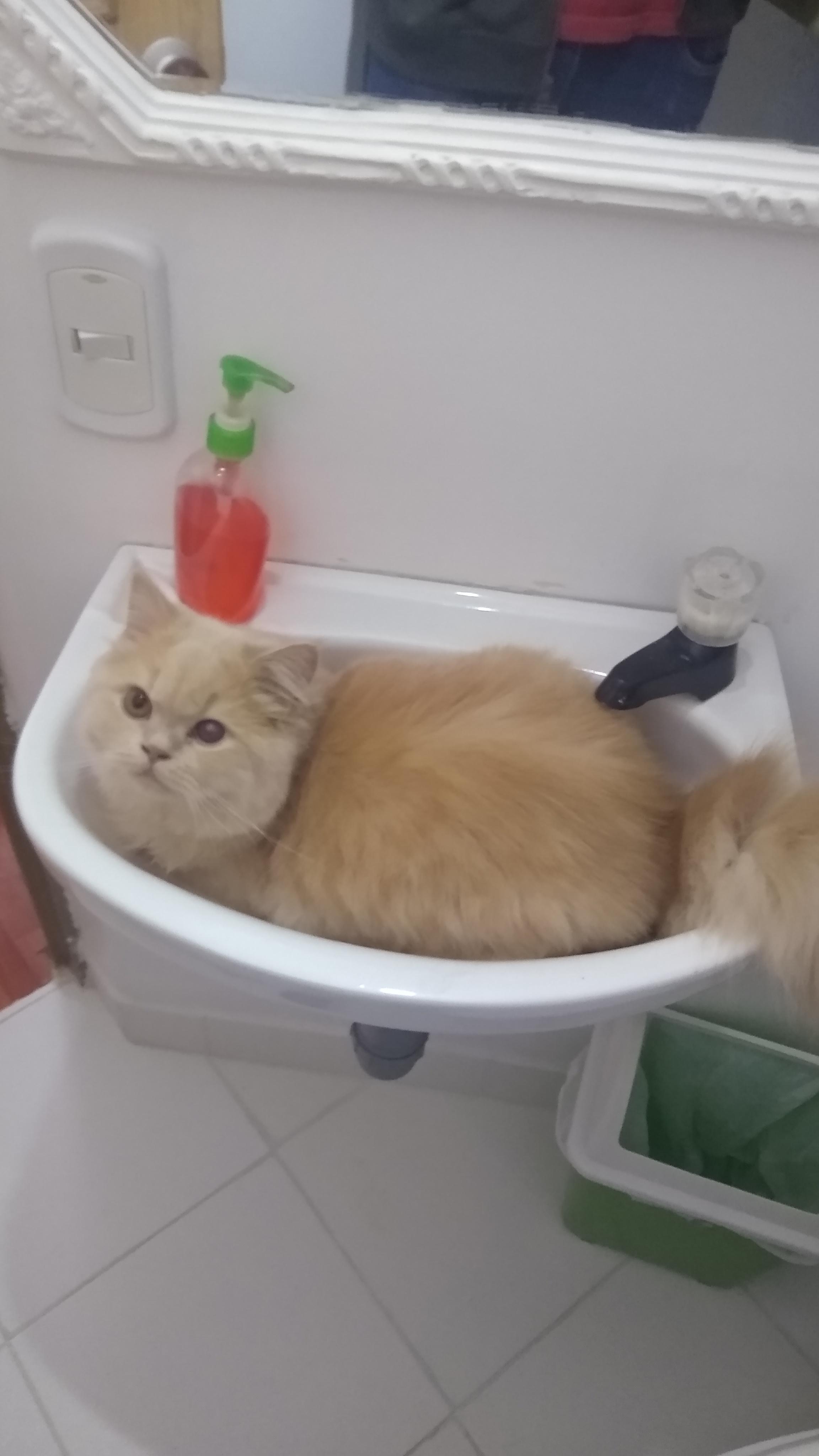 No hand washing today. | Scrolller