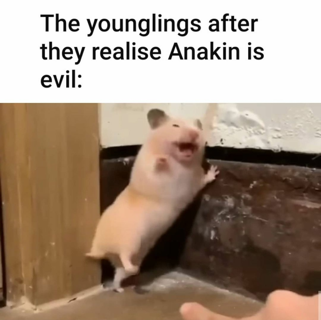 No! Not the younglings Anakin! | Scrolller
