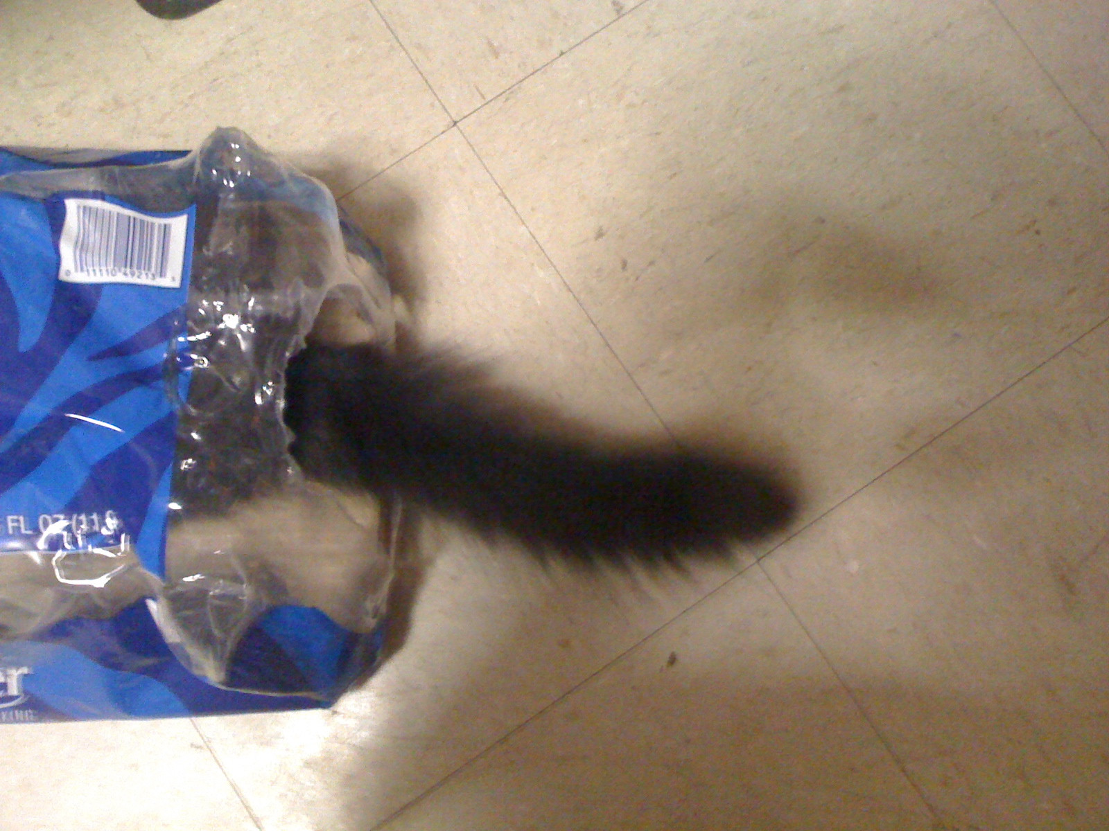 No one knows I'm in here. | Scrolller