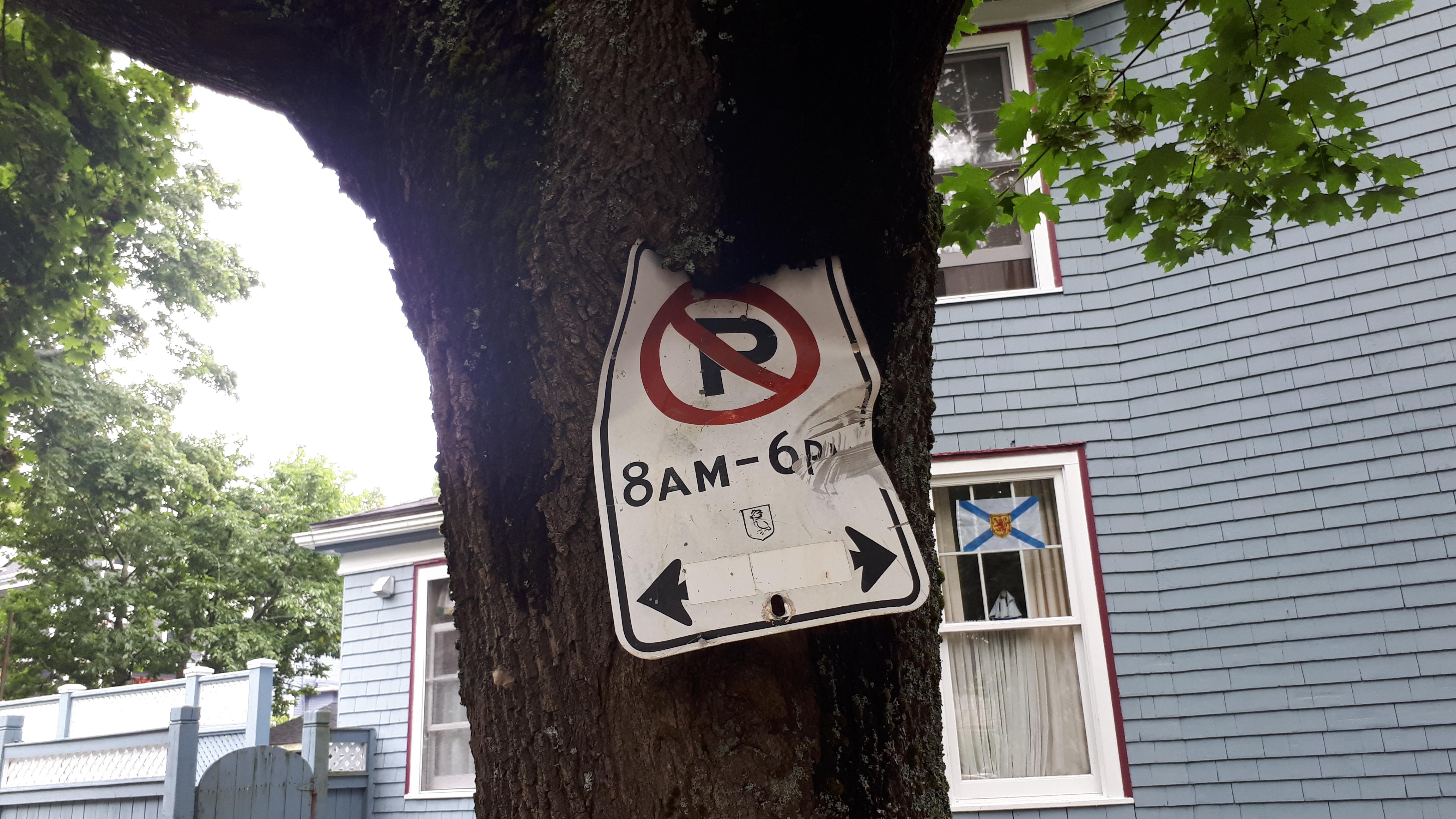 No parking between 8 and nom. | Scrolller